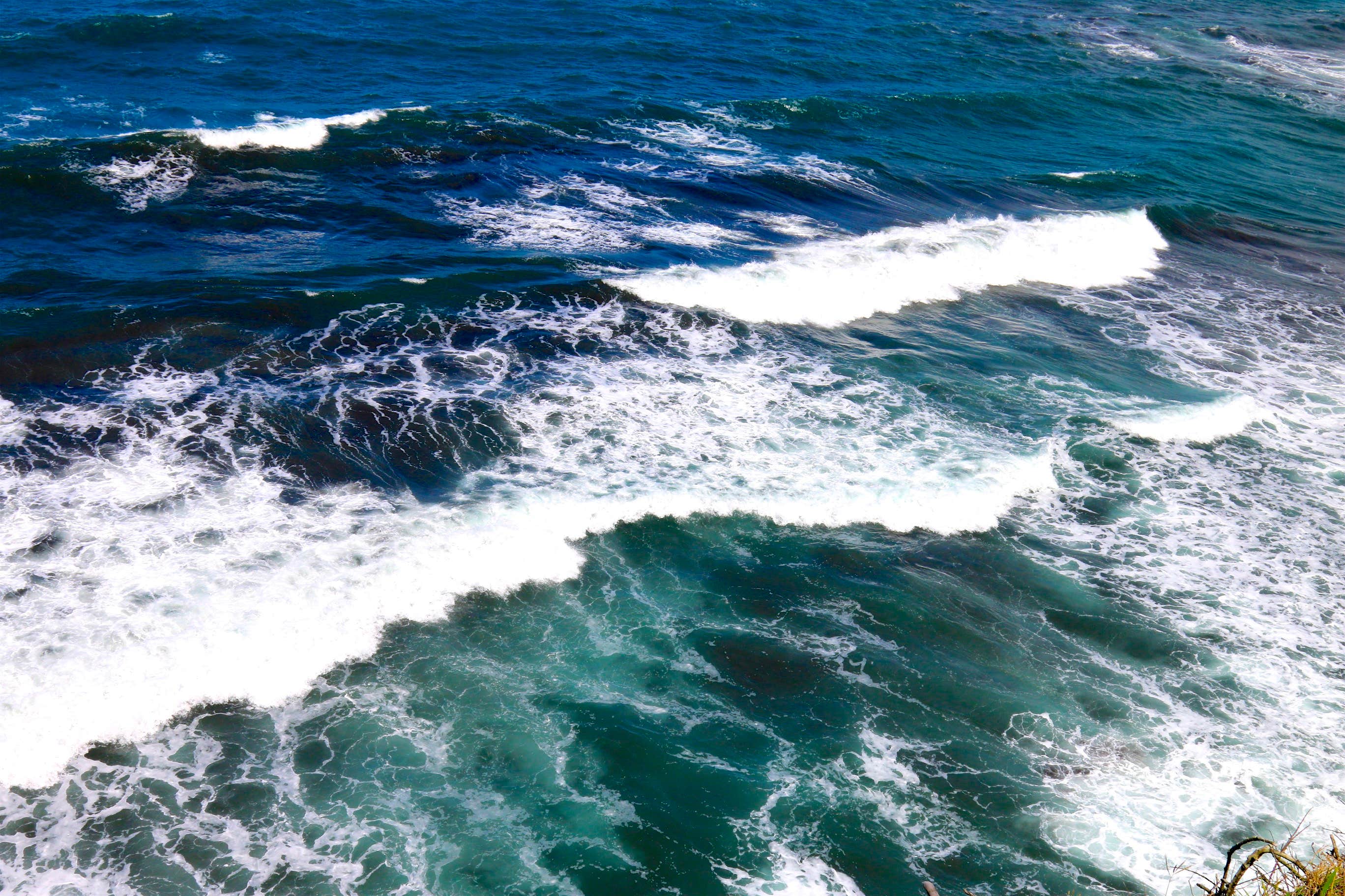 Waimanu Campsite | Pu'u O Umi Natural Area Reserve, Hawaii