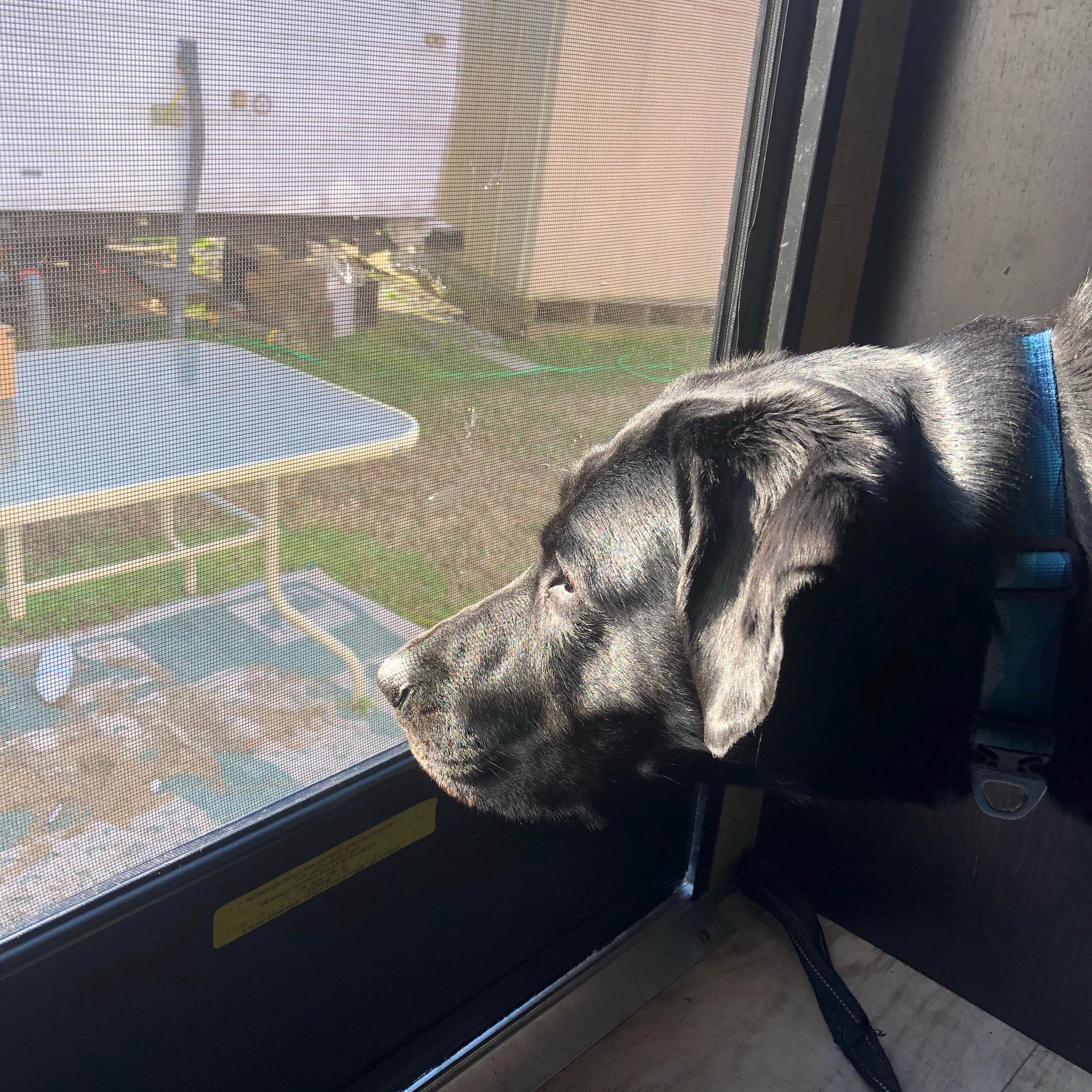 Jones RV Park Camping | The Dyrt