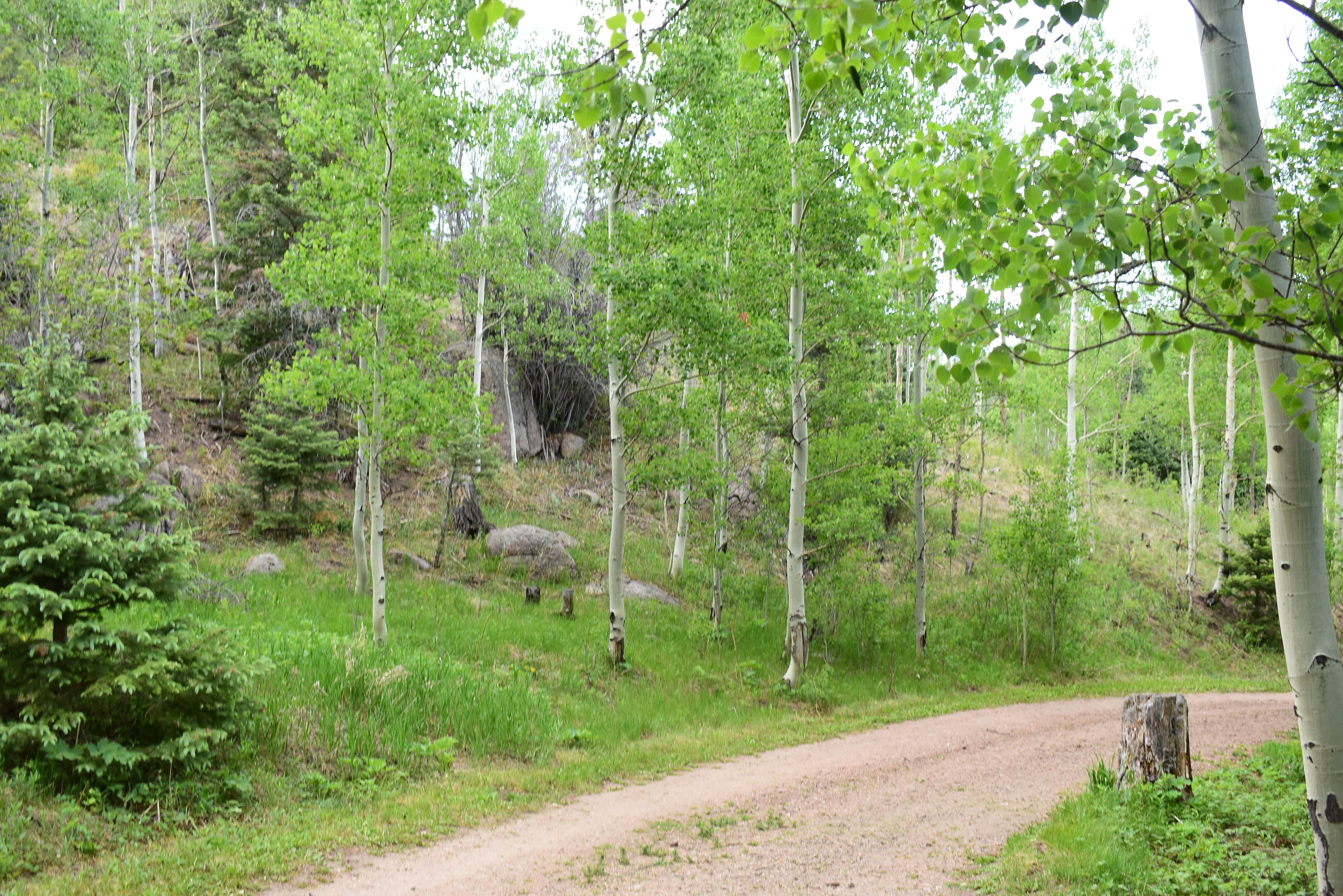 Aspen Acres Campground | Rye, CO