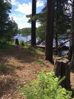 Scenic State Park Campground | Bigfork, MN