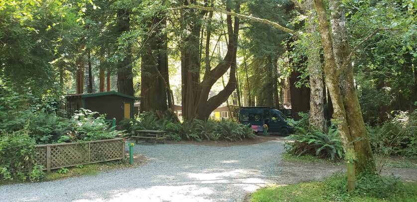 Emerald Forest Cabins & RV Camping | The Dyrt