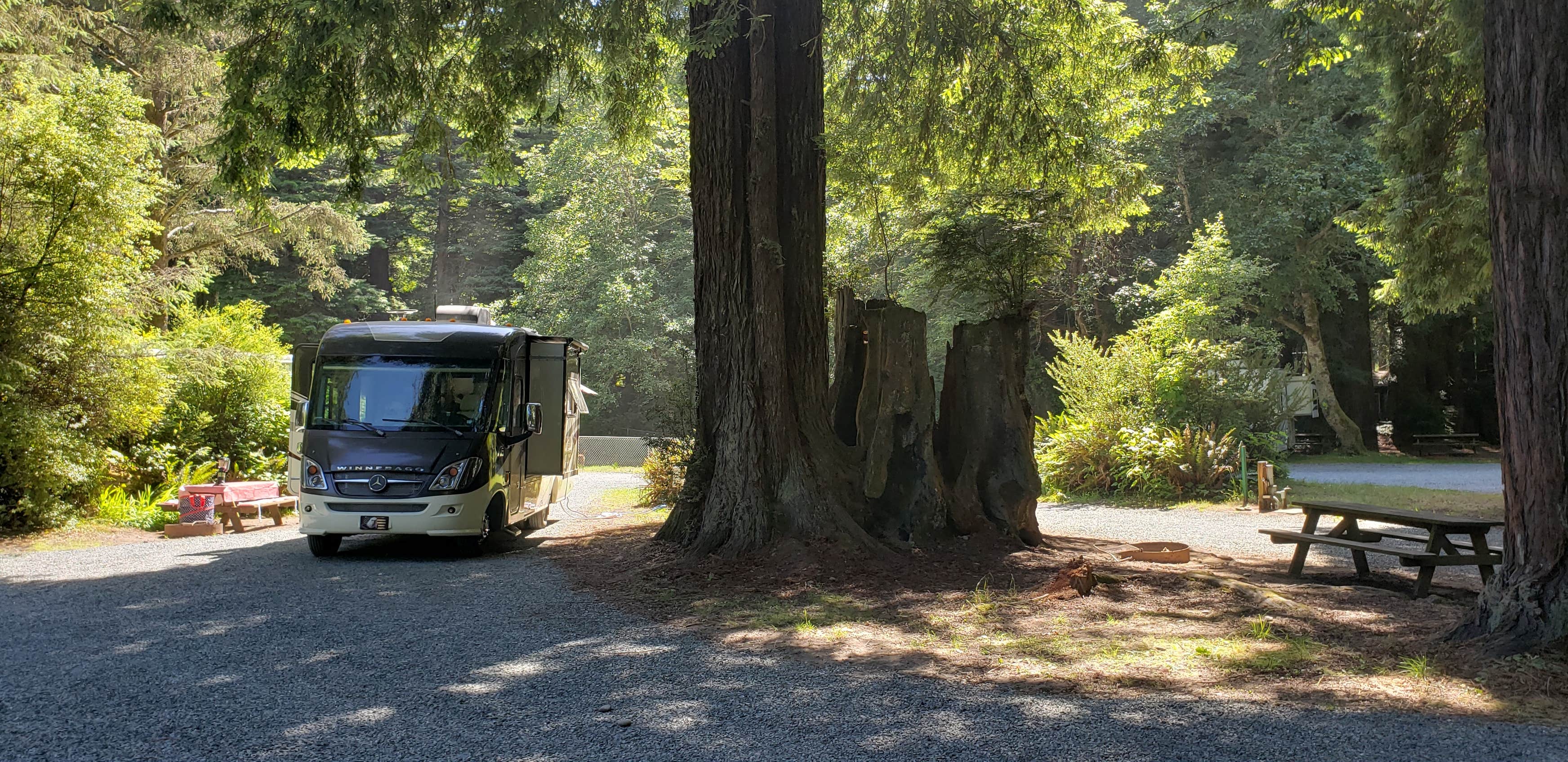 Emerald Forest Cabins & RV Camping | The Dyrt