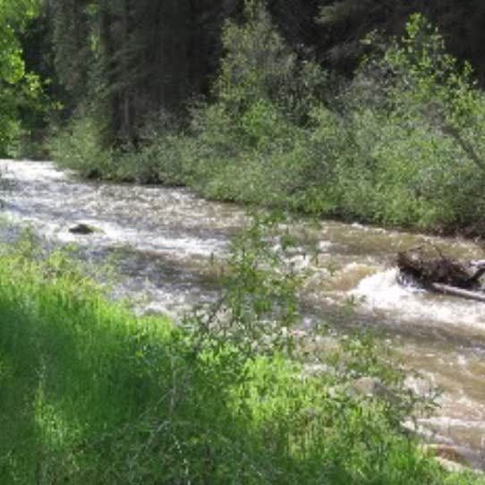 West Dolores Campground | Rico, Colorado
