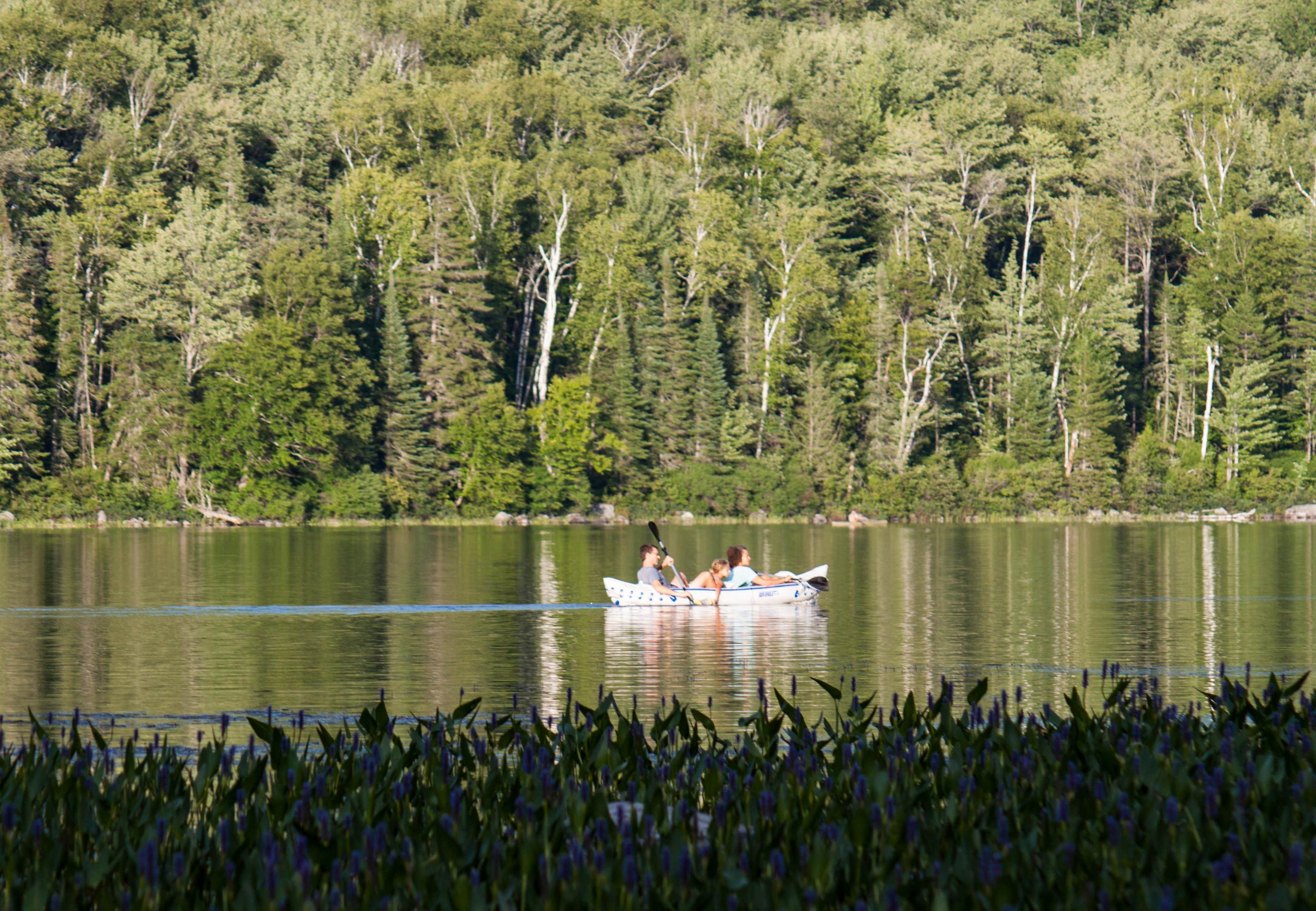 Ricker Pond State Park Camping | The Dyrt