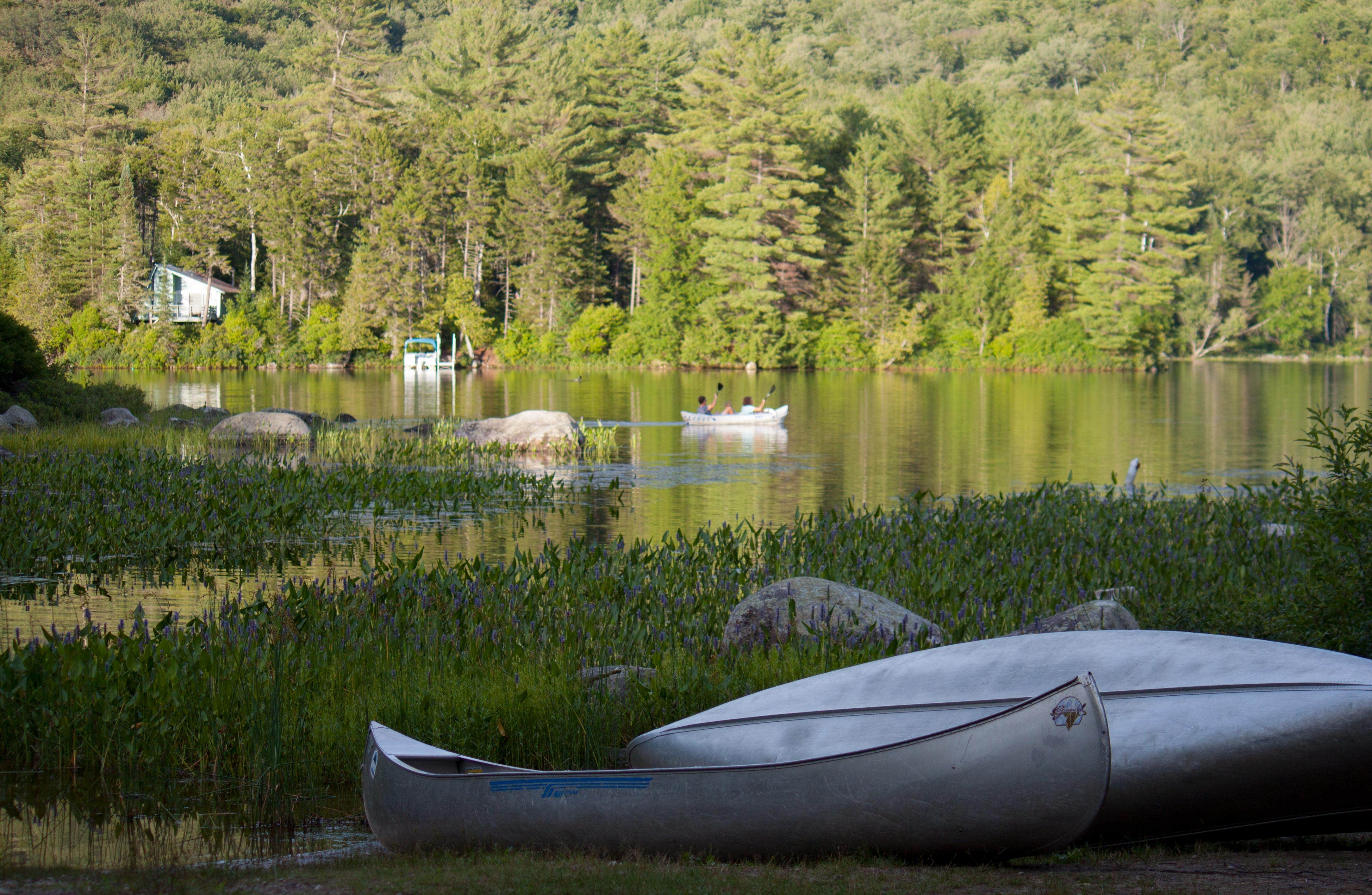 Ricker Pond State Park Camping | The Dyrt
