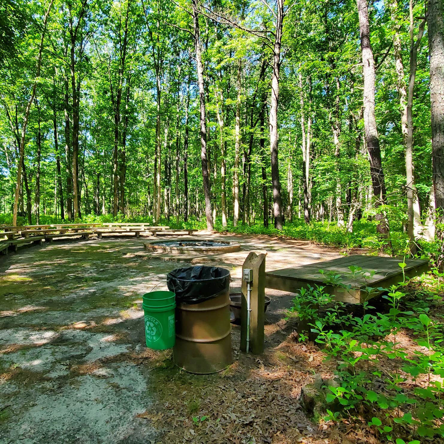 Turkey Swamp Park Camping | The Dyrt