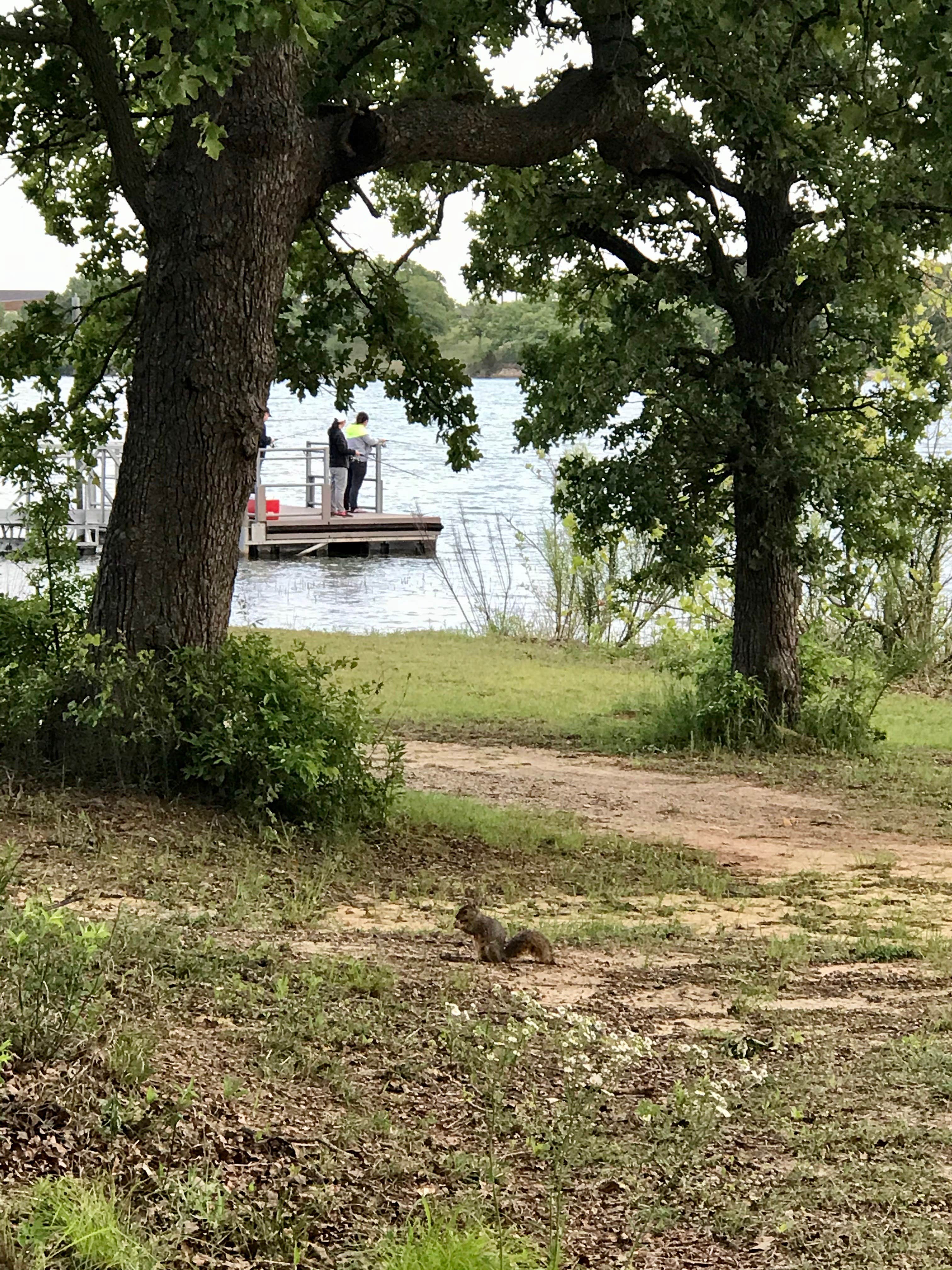 Tipps Point Campground — Lake Murray State Park | Ardmore, OK