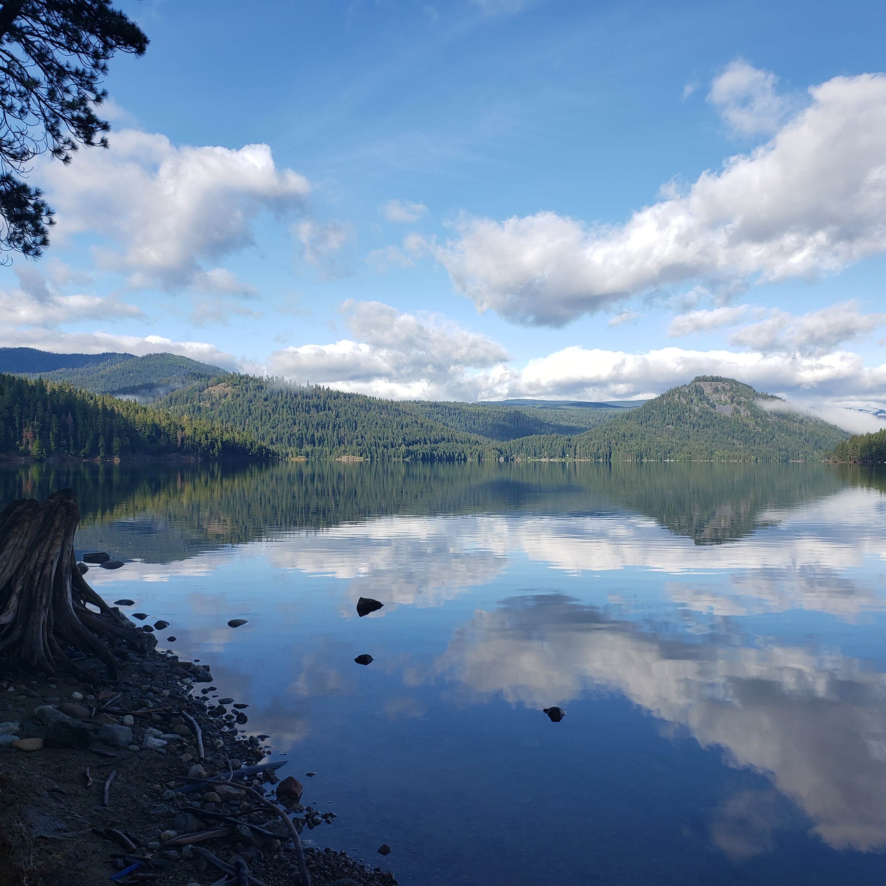 Peninsula / Rimrock Boat Launch Camping | Goose Prairie, Washington