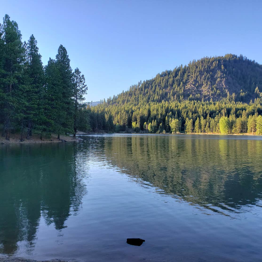 Peninsula / Rimrock Boat Launch Camping | Goose Prairie, WA