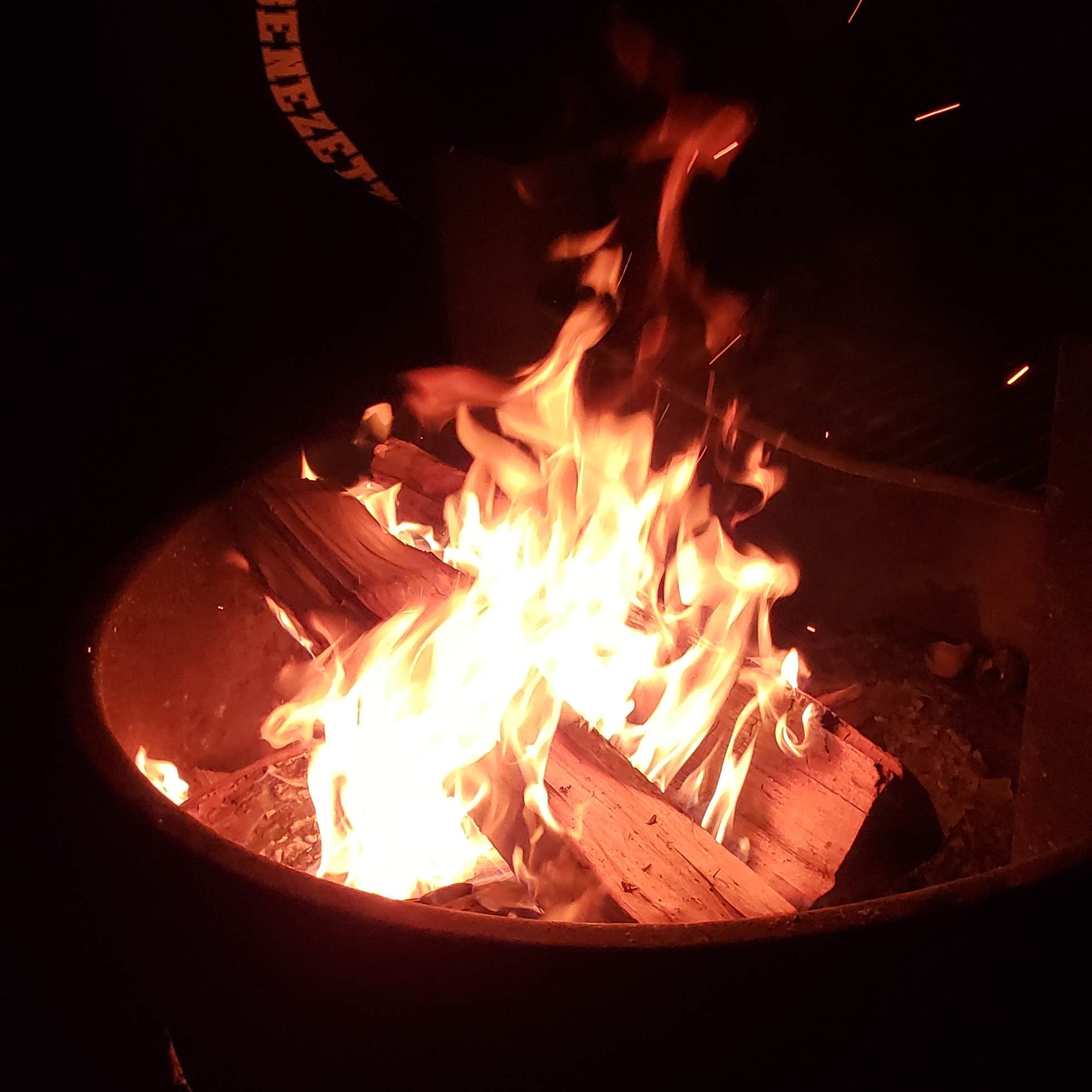 Ole Bull State Park Campground | Cross Fork, PA