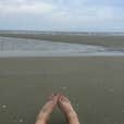 Stafford Beach Campground — Cumberland Island National Seashore ...