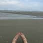 Stafford Beach Campground — Cumberland Island National Seashore ...