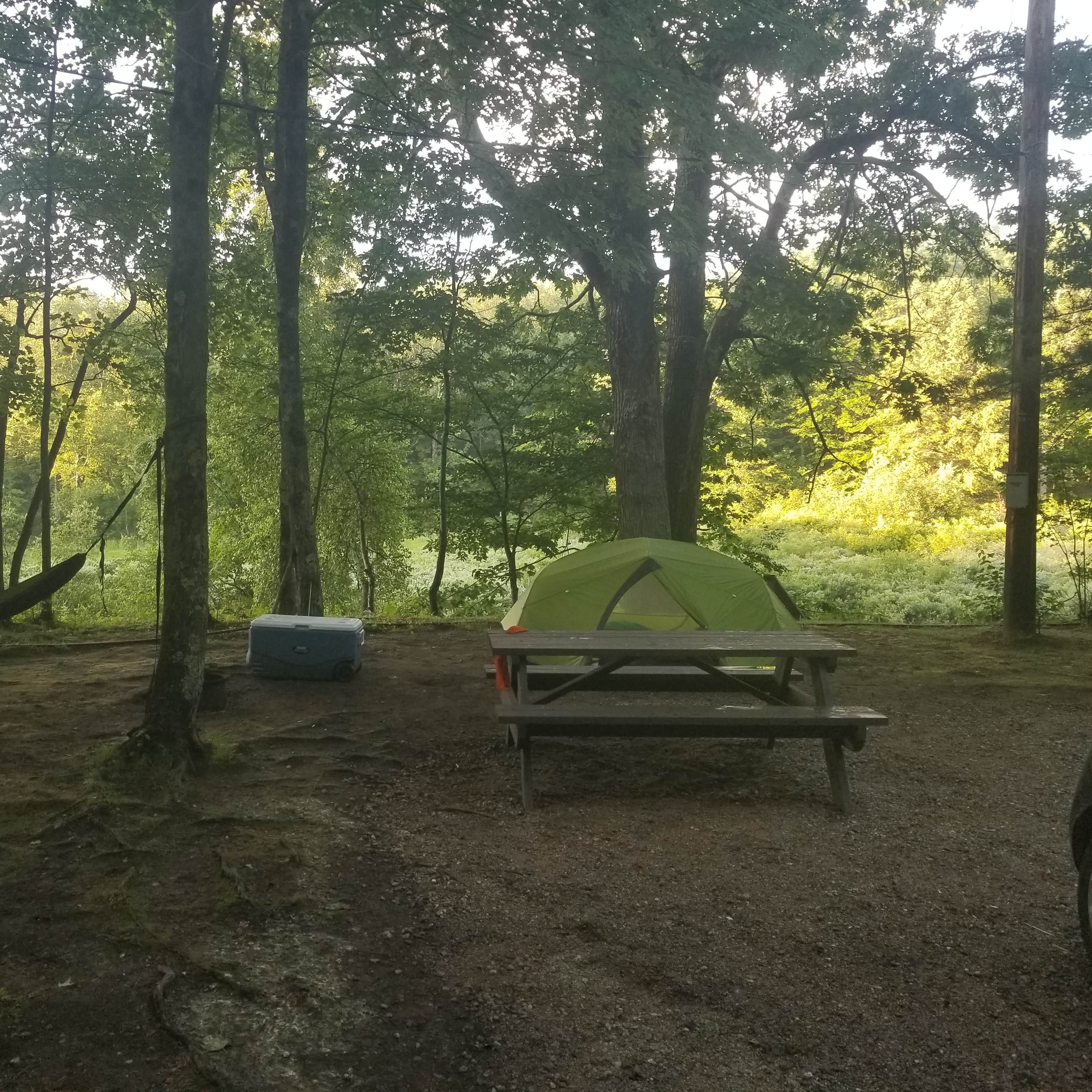 Martin Stream Campground | Buckfield, Maine