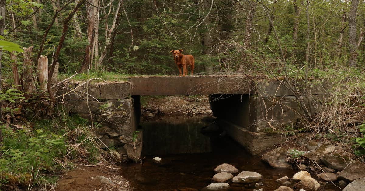 Fox Lair Campsites | Bakers Mills, New York
