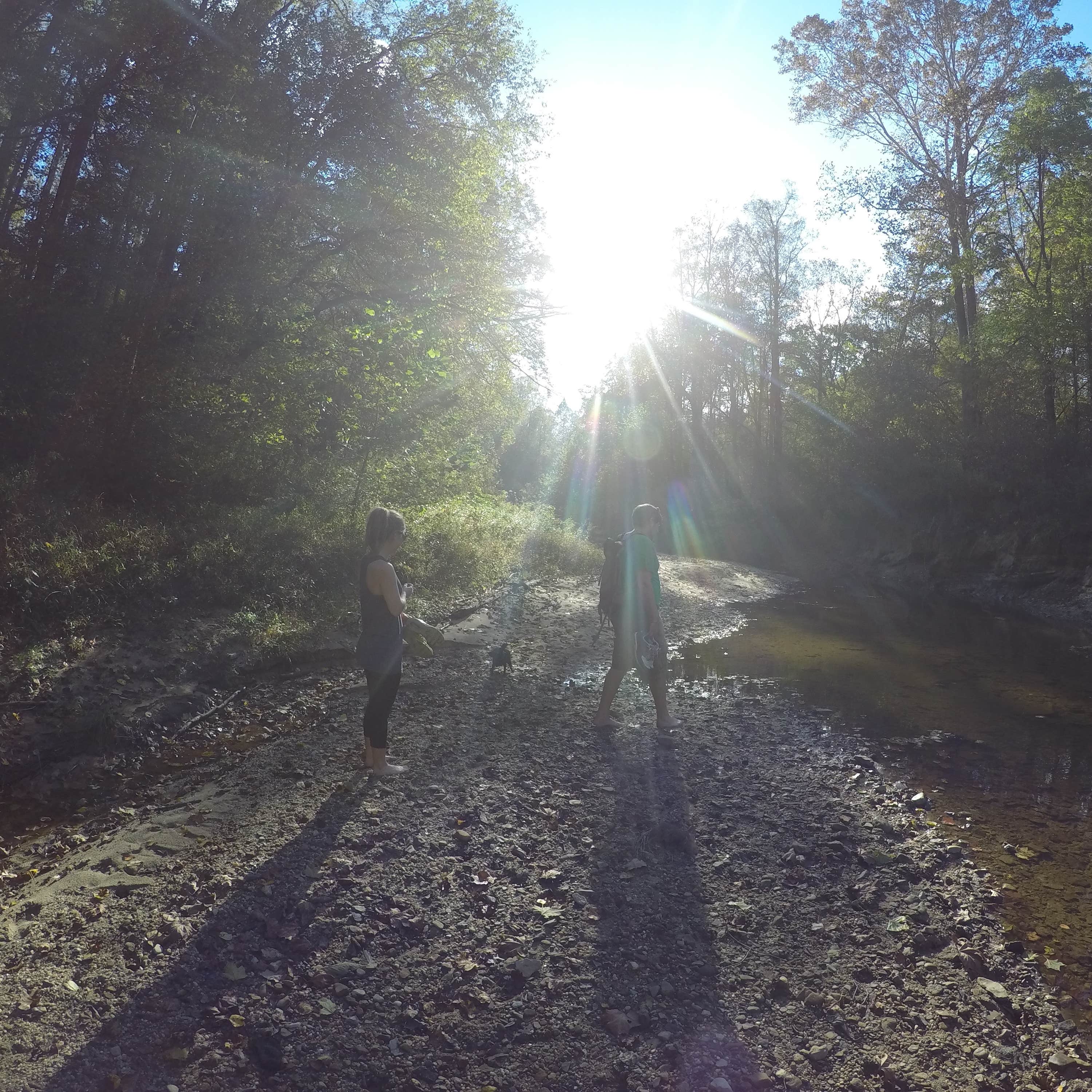 Clear Creek Rec Area Camping | The Dyrt