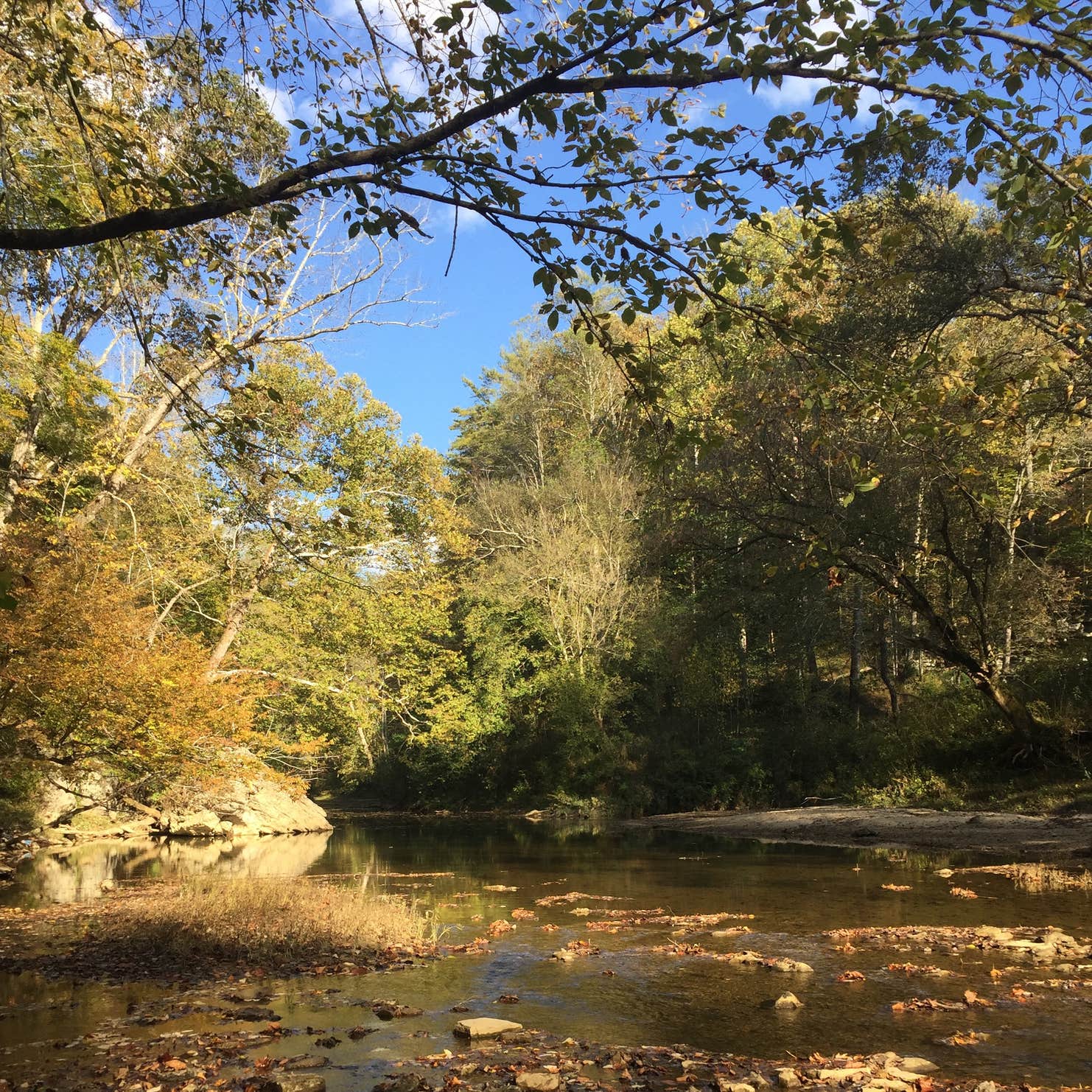 Middle Fork Campground Camping | The Dyrt