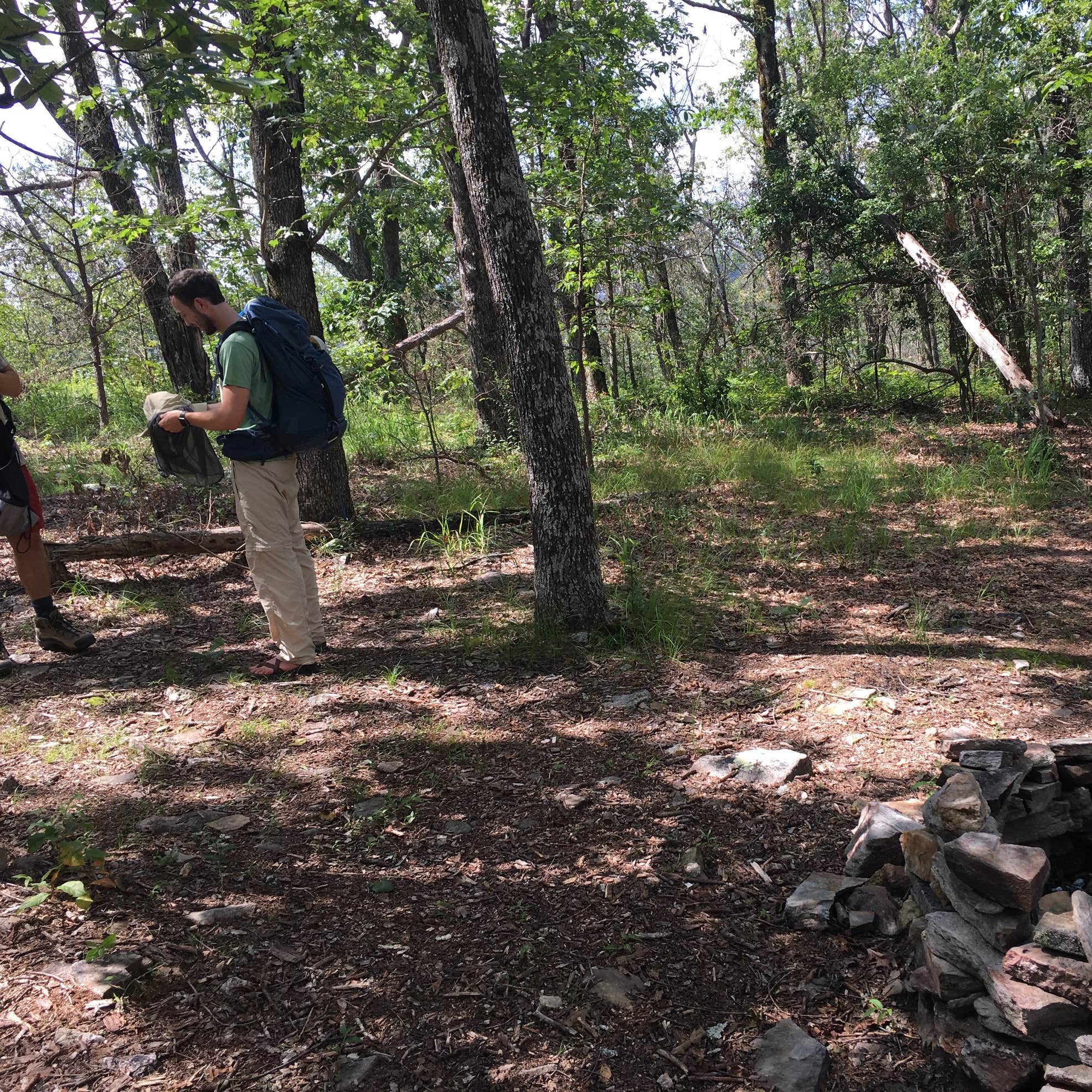 Pinhoti Trail Backcountry Campground Camping | The Dyrt