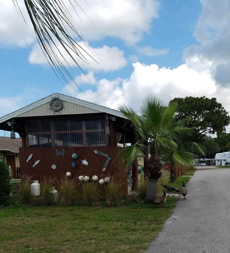 Bay Aire 55+ RV Park | Palm Harbor, FL