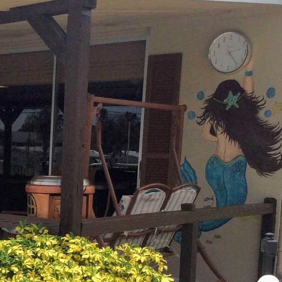 Bay Aire 55+ RV Park | Palm Harbor, Florida