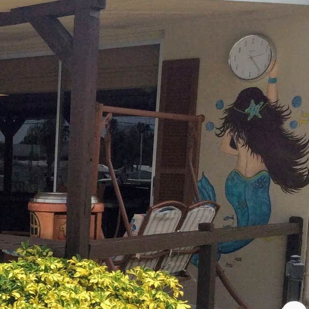 Bay Aire 55+ RV Park | Palm Harbor, Florida