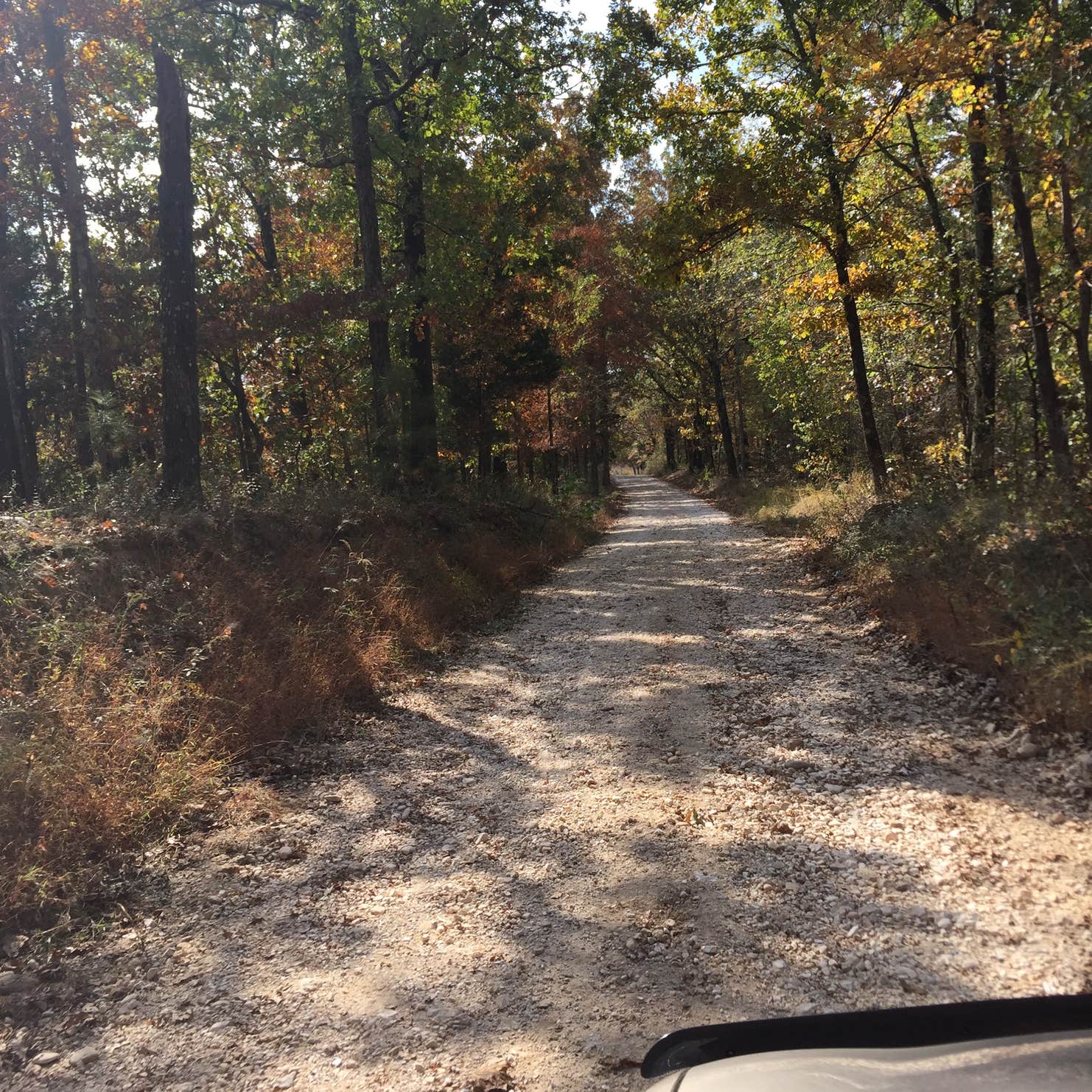 Daniel Boone National Forest Boat Gunnel Group Campground | Morehead, KY
