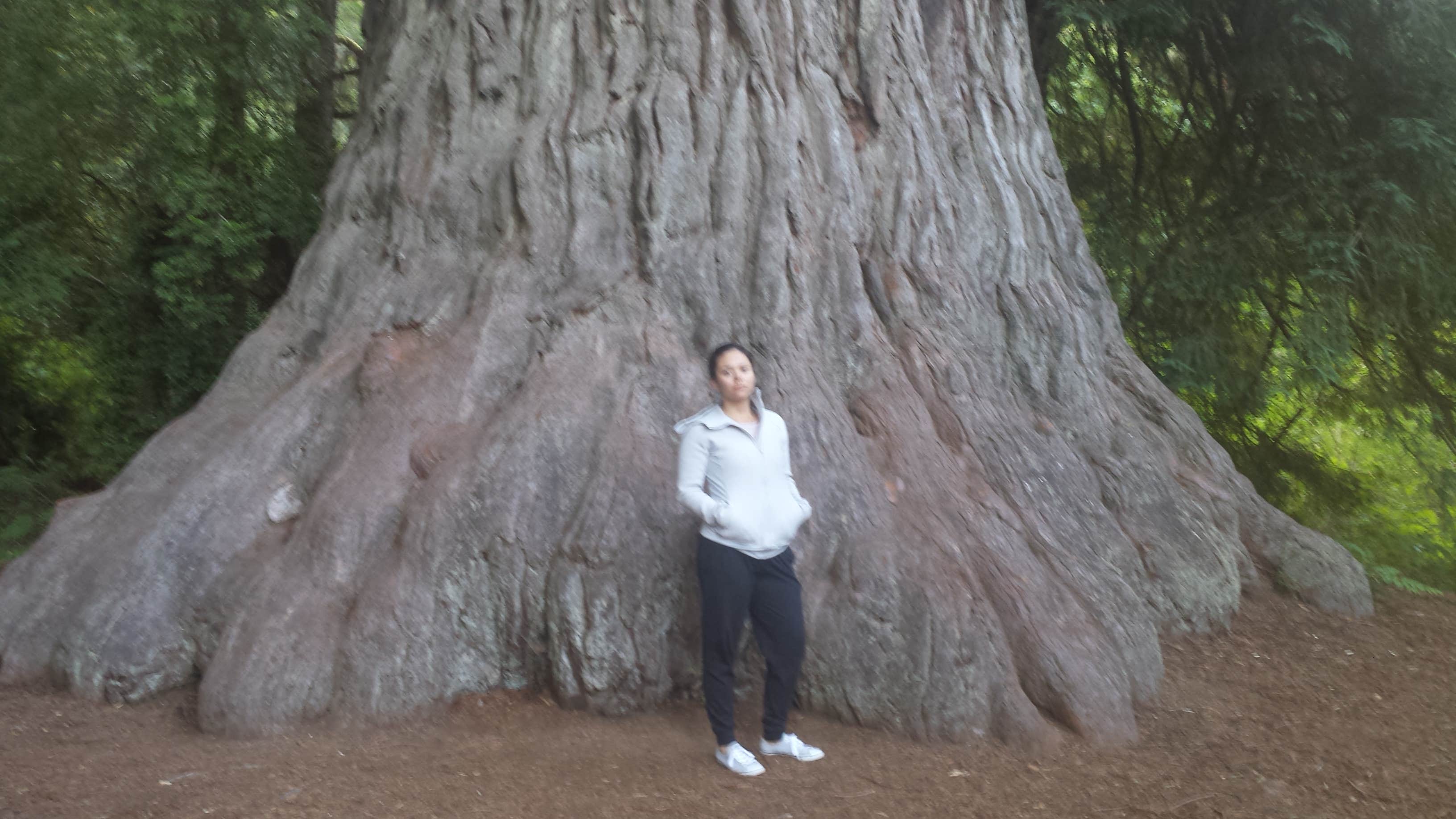 Elk Prairie Campground | Orick, CA