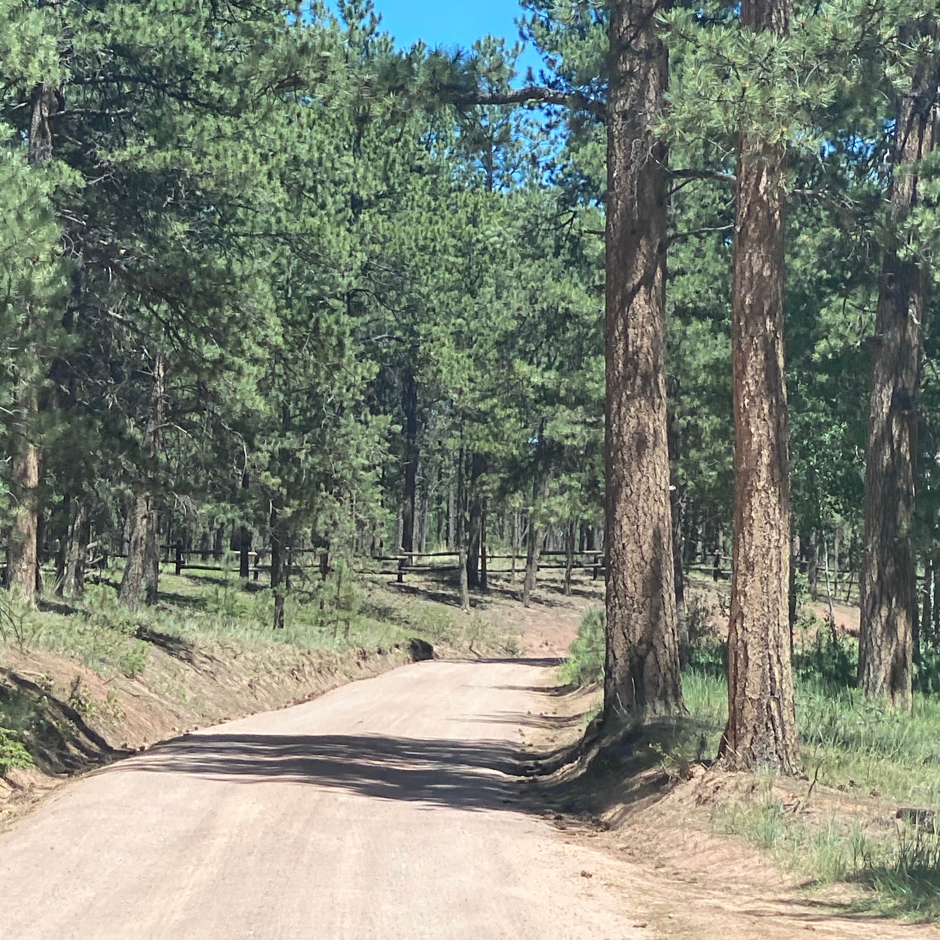 Red Rocks Group Campground Camping | Colorado Springs, CO | The Dyrt