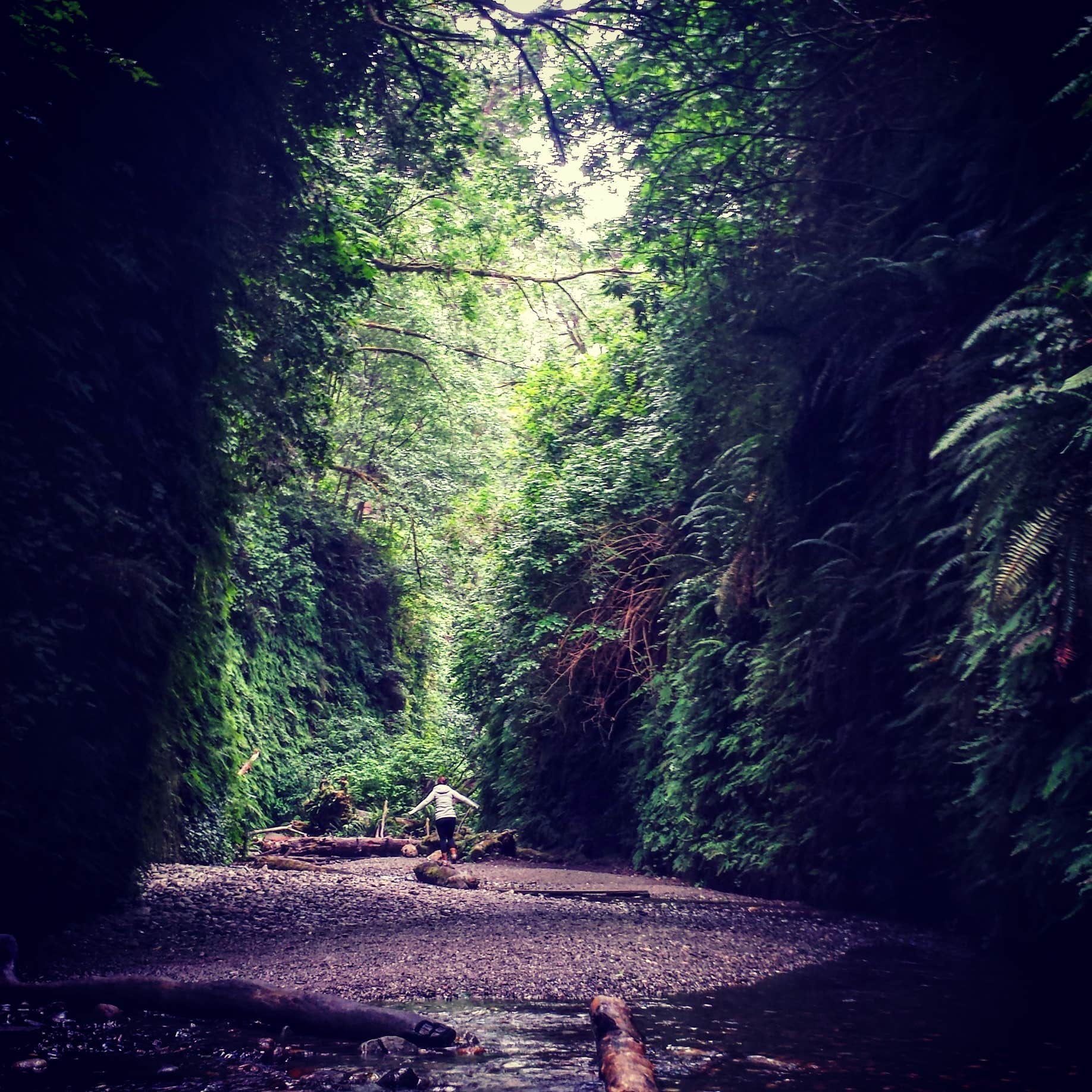 Gold Bluffs Beach Campground — Prairie Creek Redwoods State Park ...