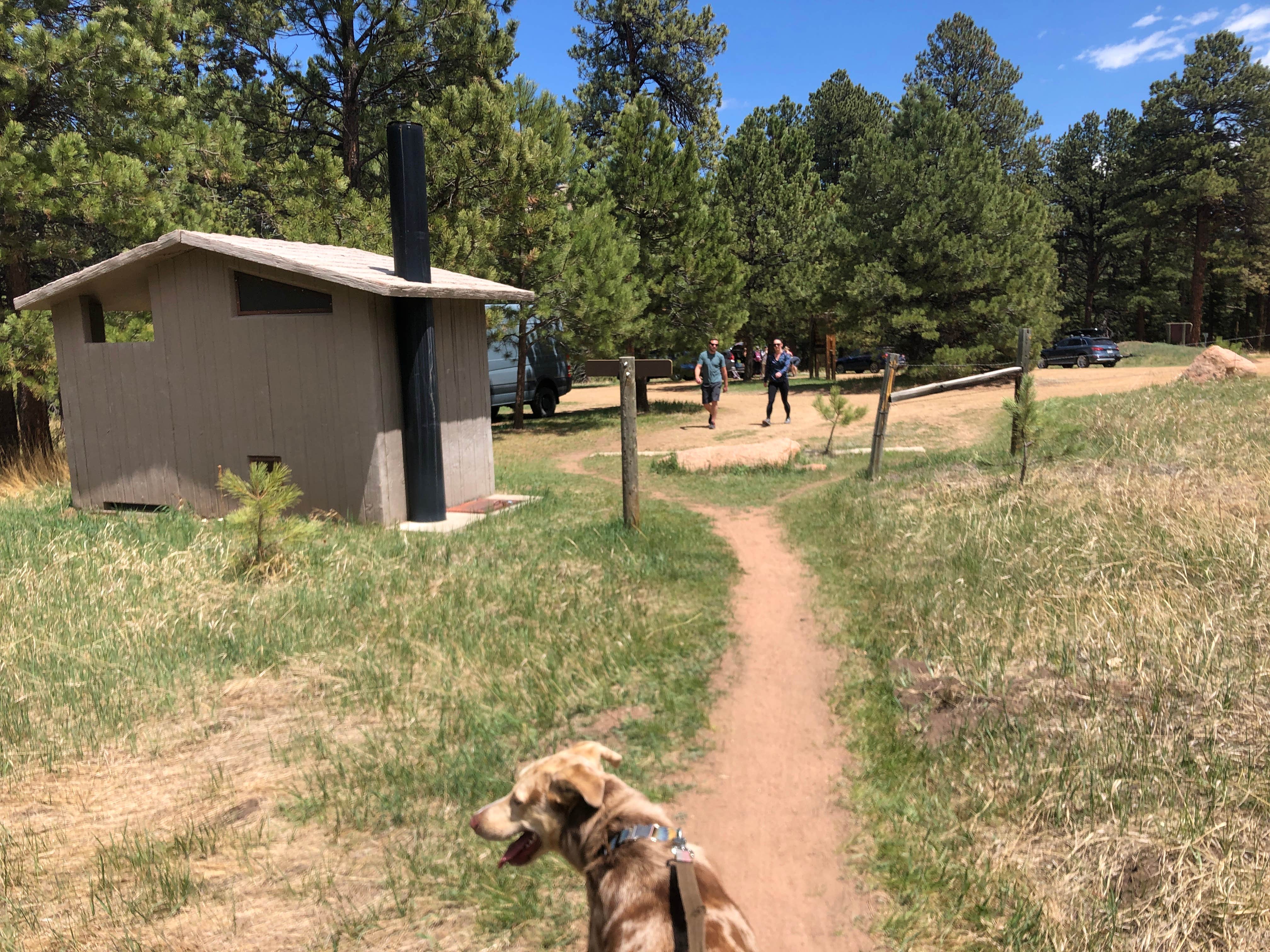 Meadows Group Campground | S.platte ranger dist, CO
