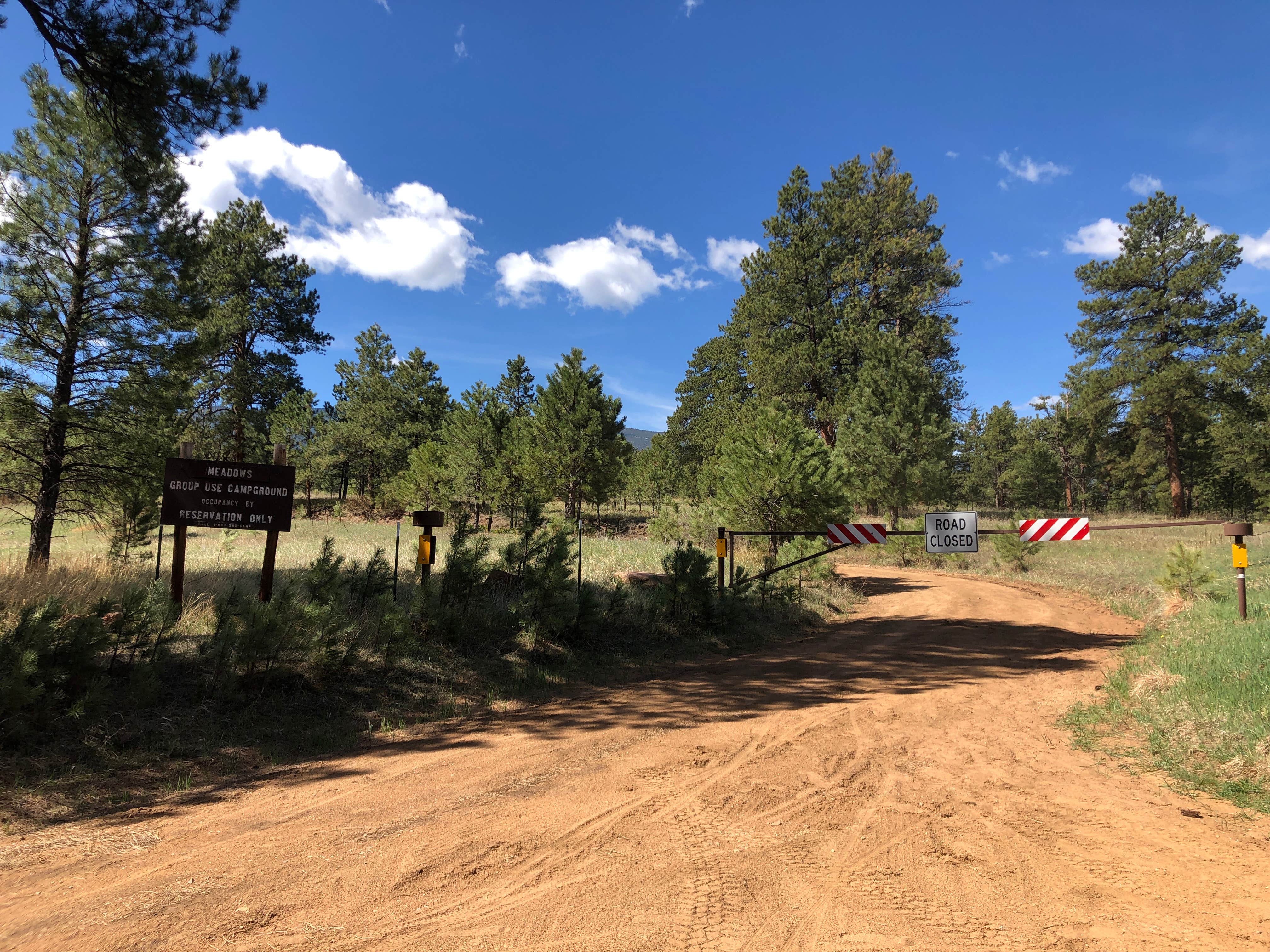 Meadows Group Campground | S.platte ranger dist, CO