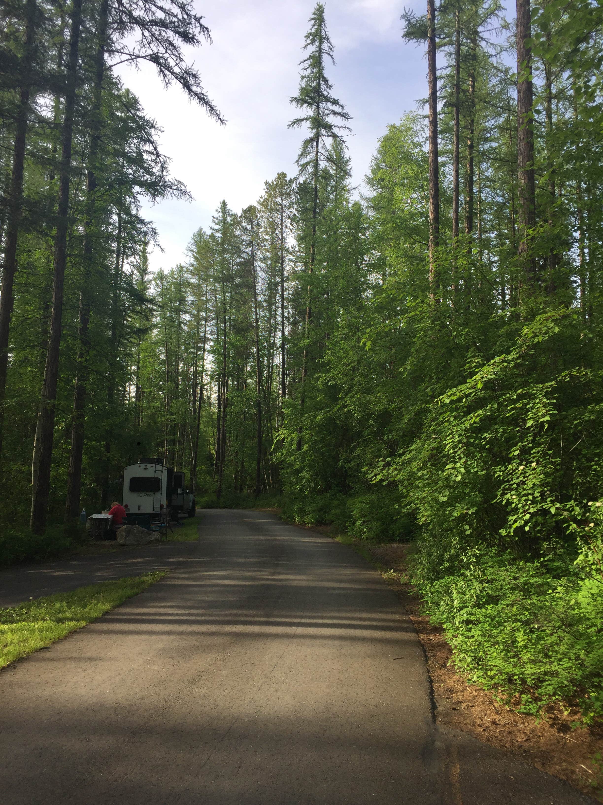 Whitefish Lake State Park Campground | Whitefish, Montana