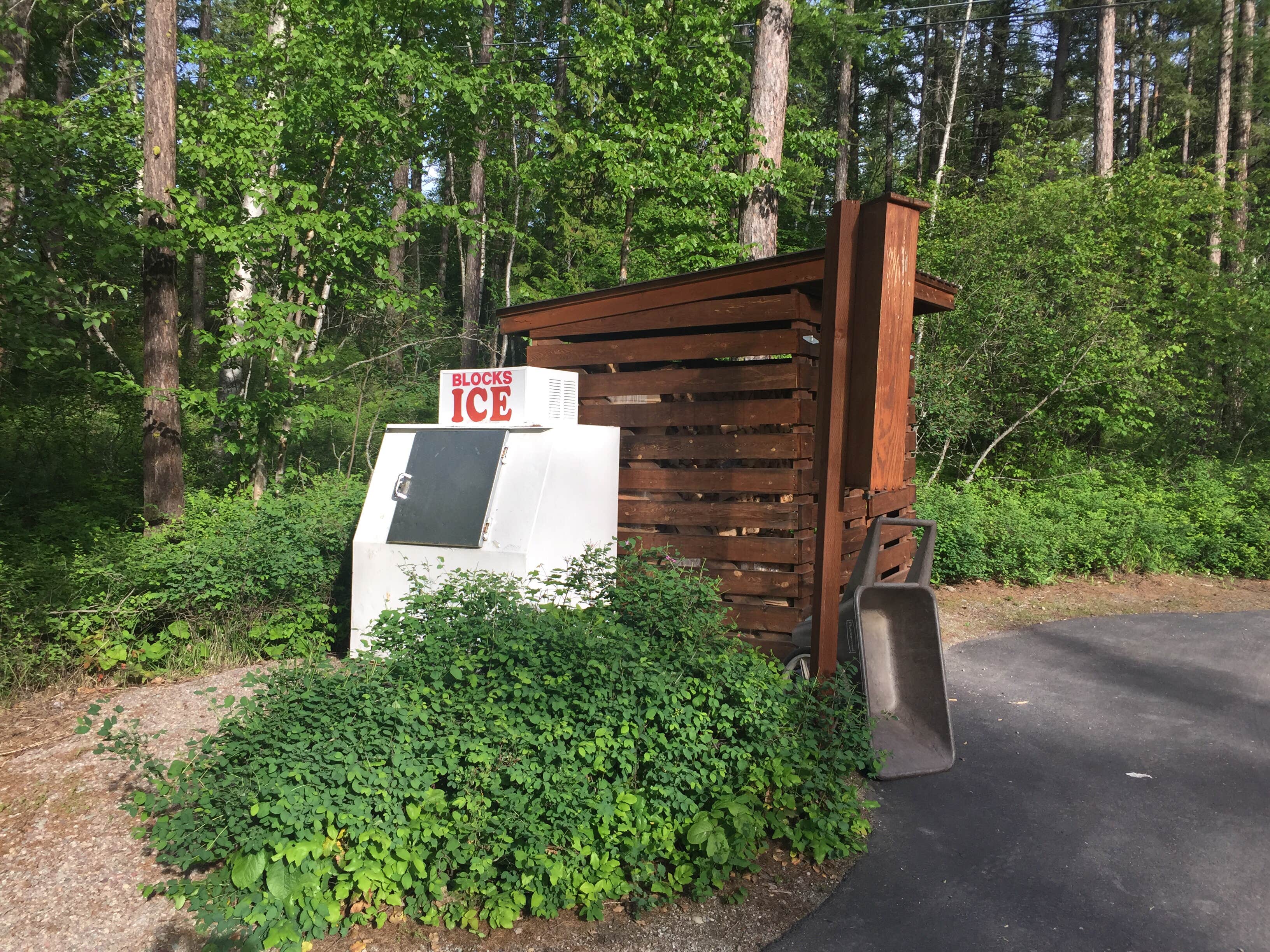 Whitefish Lake State Park Campground | Whitefish, MT