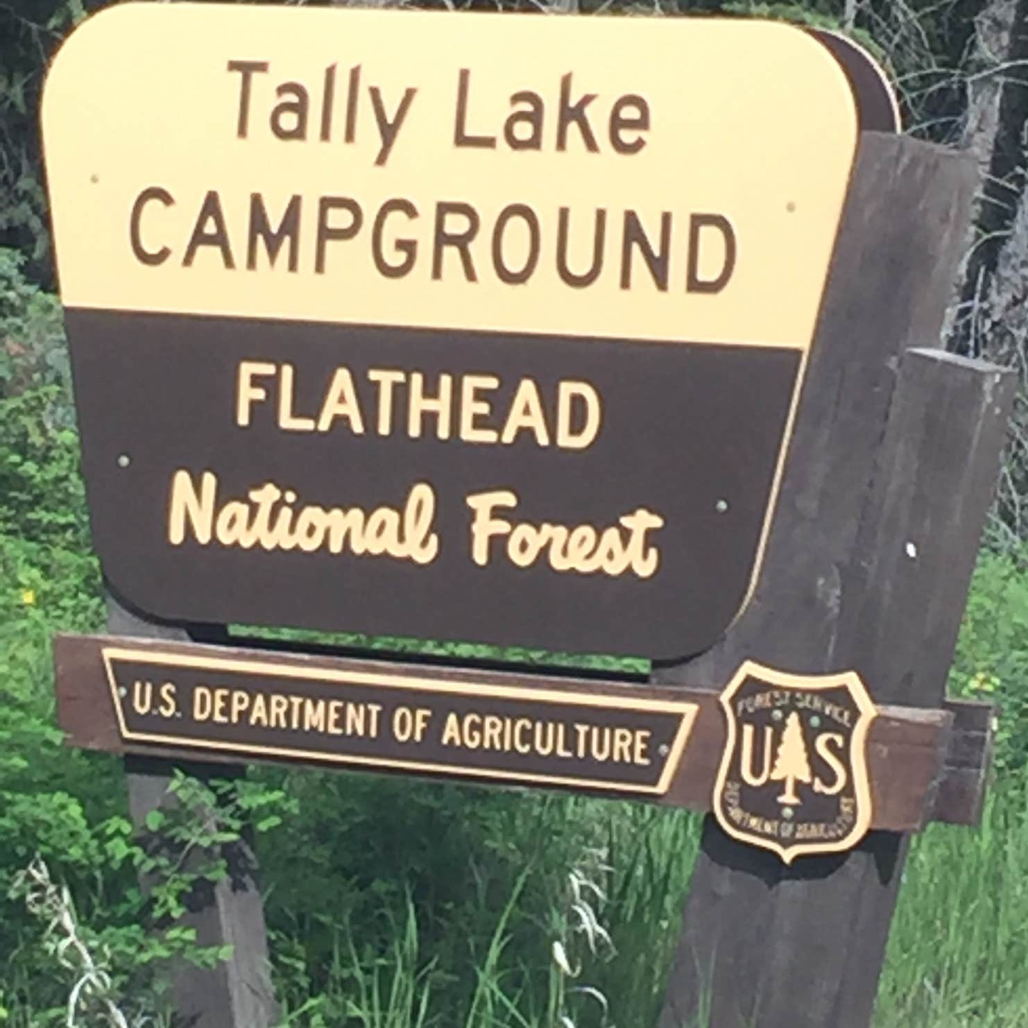 Tally Lake Campground | Olney, Montana