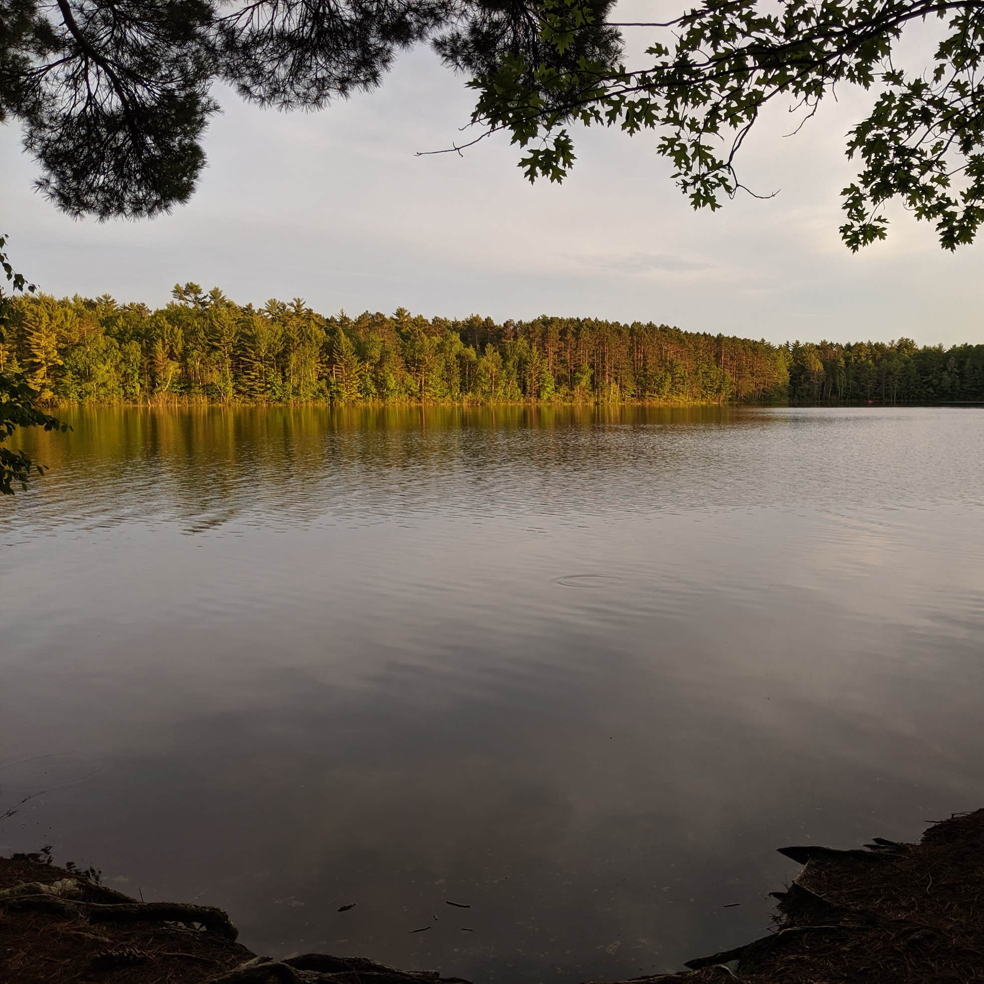 Musky Lake Campground — Northern Highland State Forest | Sayner, Wisconsin