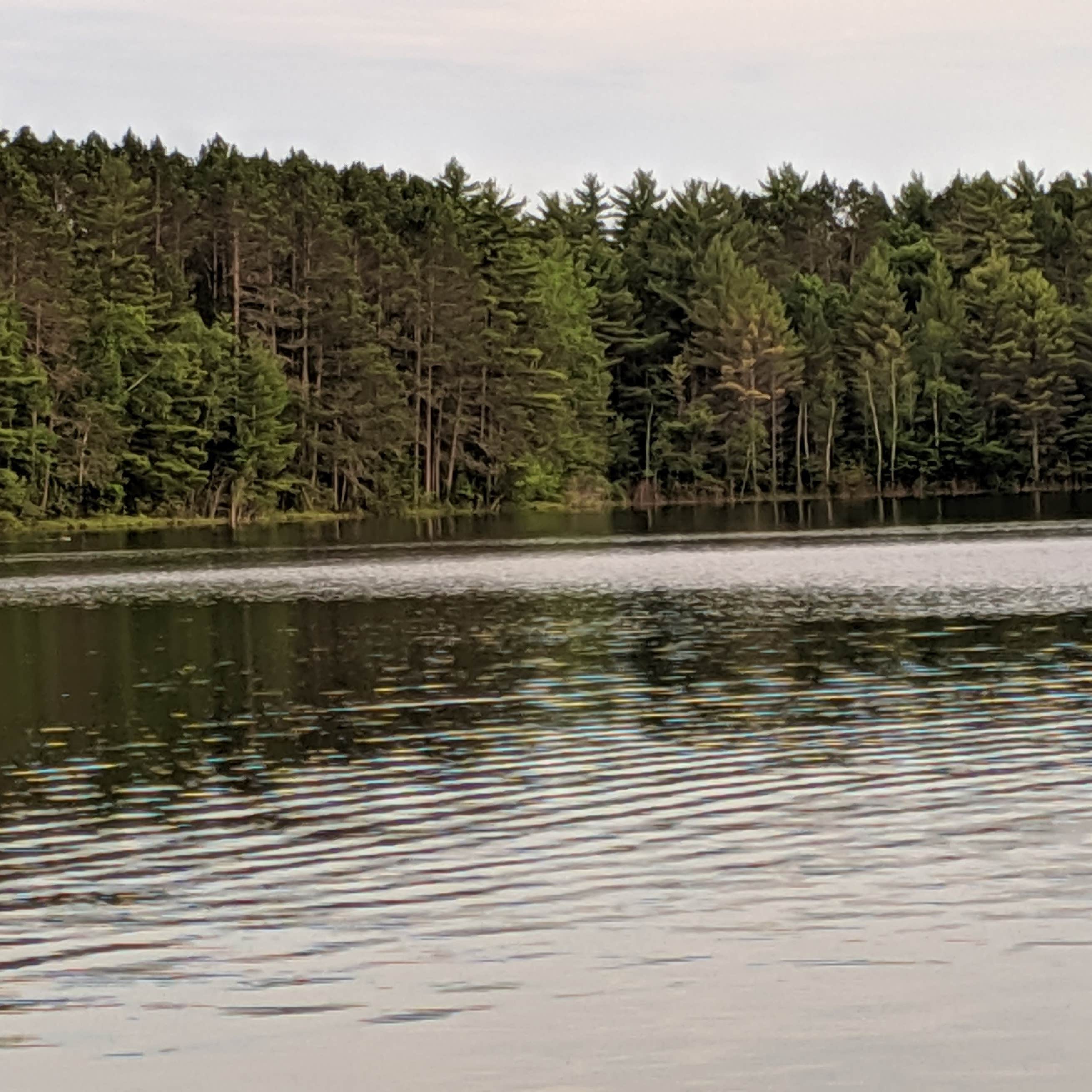 Musky Lake Campground — Northern Highland State Forest | Sayner, Wisconsin