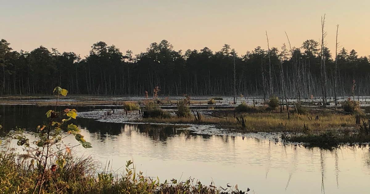 Lower Forge Camp | Hammonton, NJ