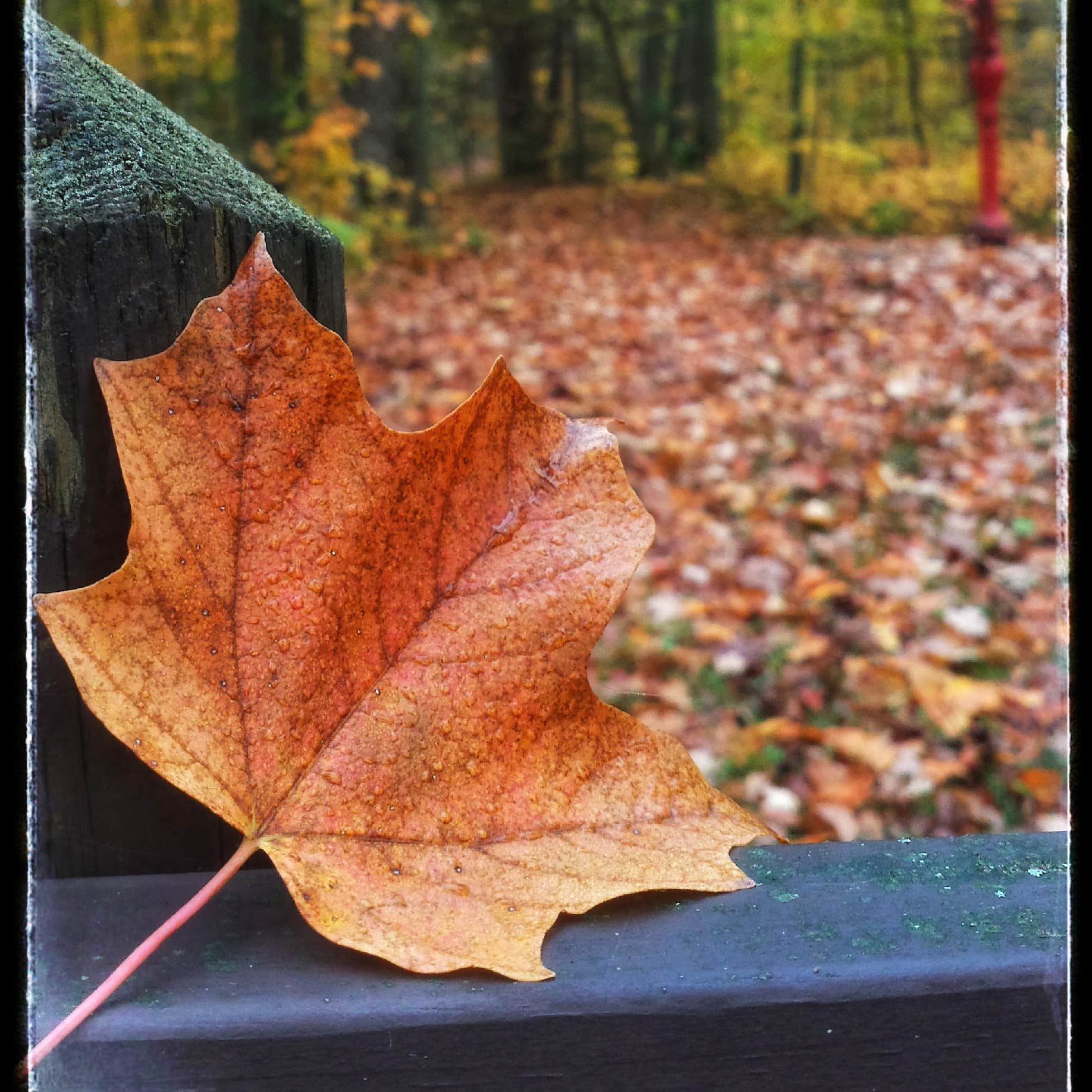 Hay Lake Campground and Day-Use Area Camping | The Dyrt