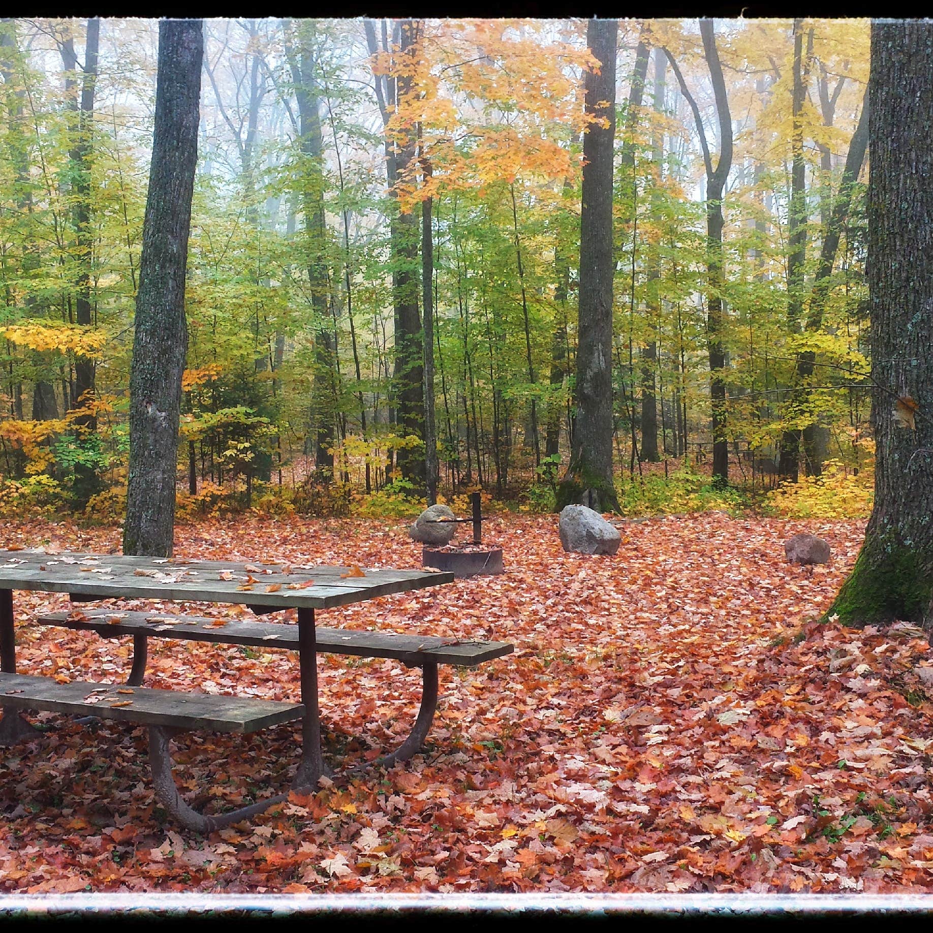 Hay Lake Campground and Day-Use Area Camping | The Dyrt