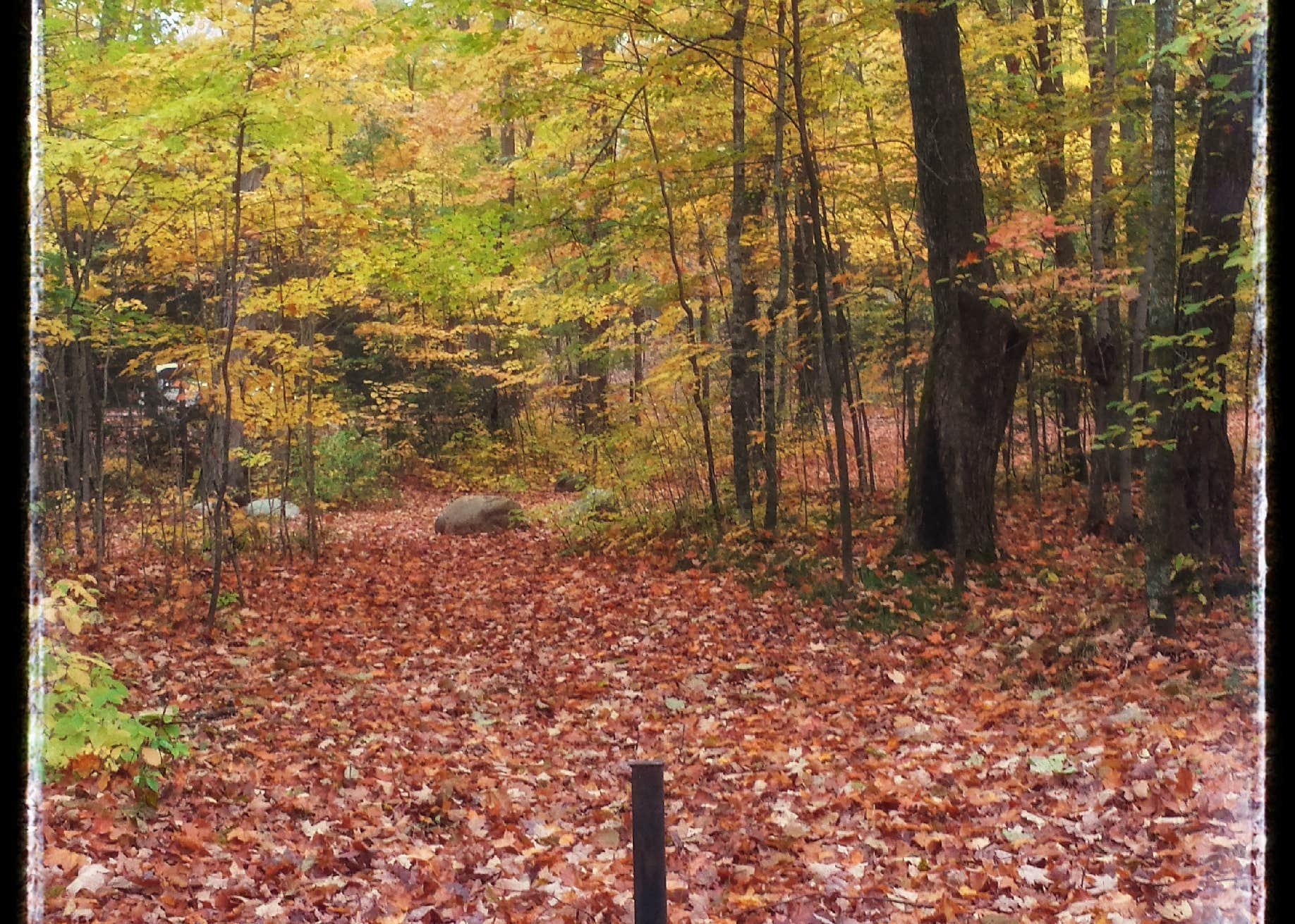 Hay Lake Campground and Day-Use Area Camping | The Dyrt