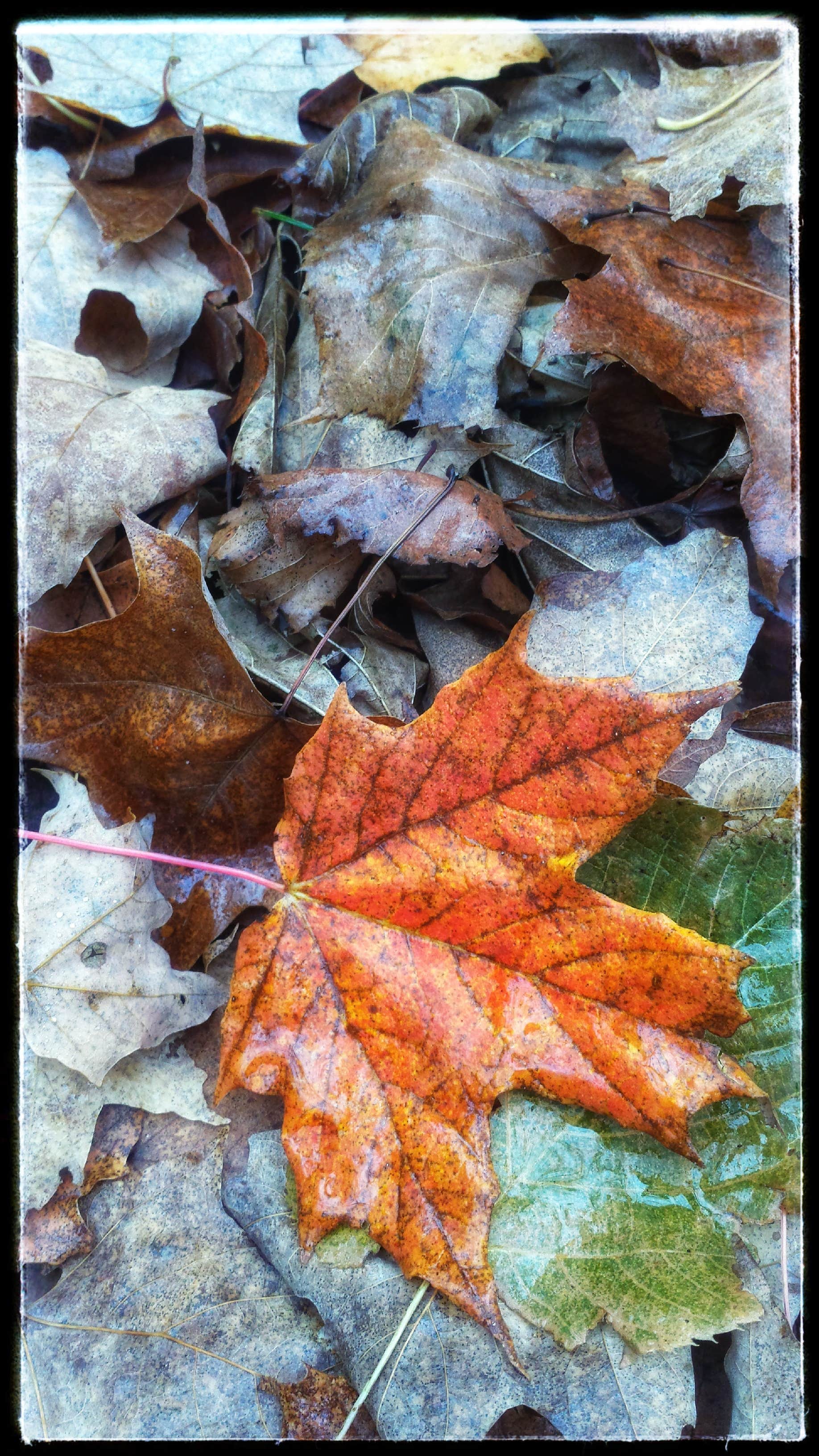 Hay Lake Campground and Day-Use Area | Balsam, MN