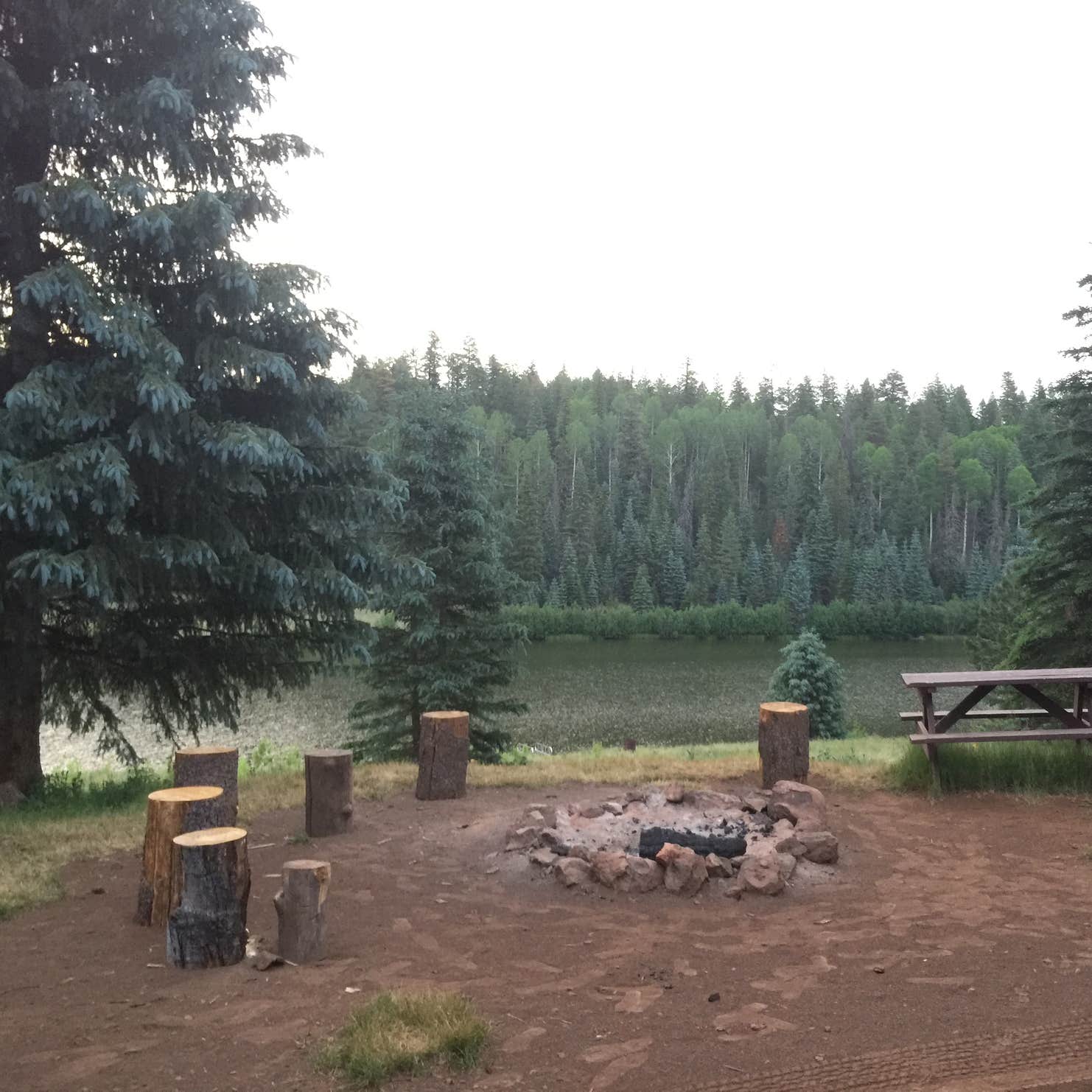 Hurricane Lake Campground | Greer, Arizona