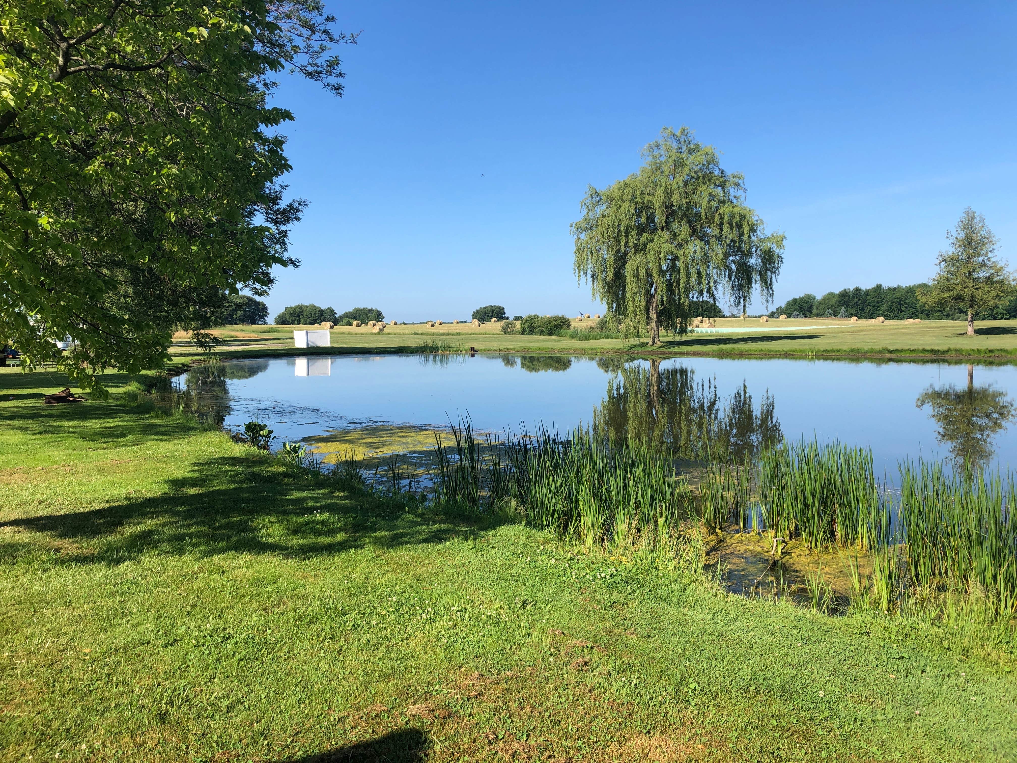 Farmview Resort Camping | Free Soil, MI