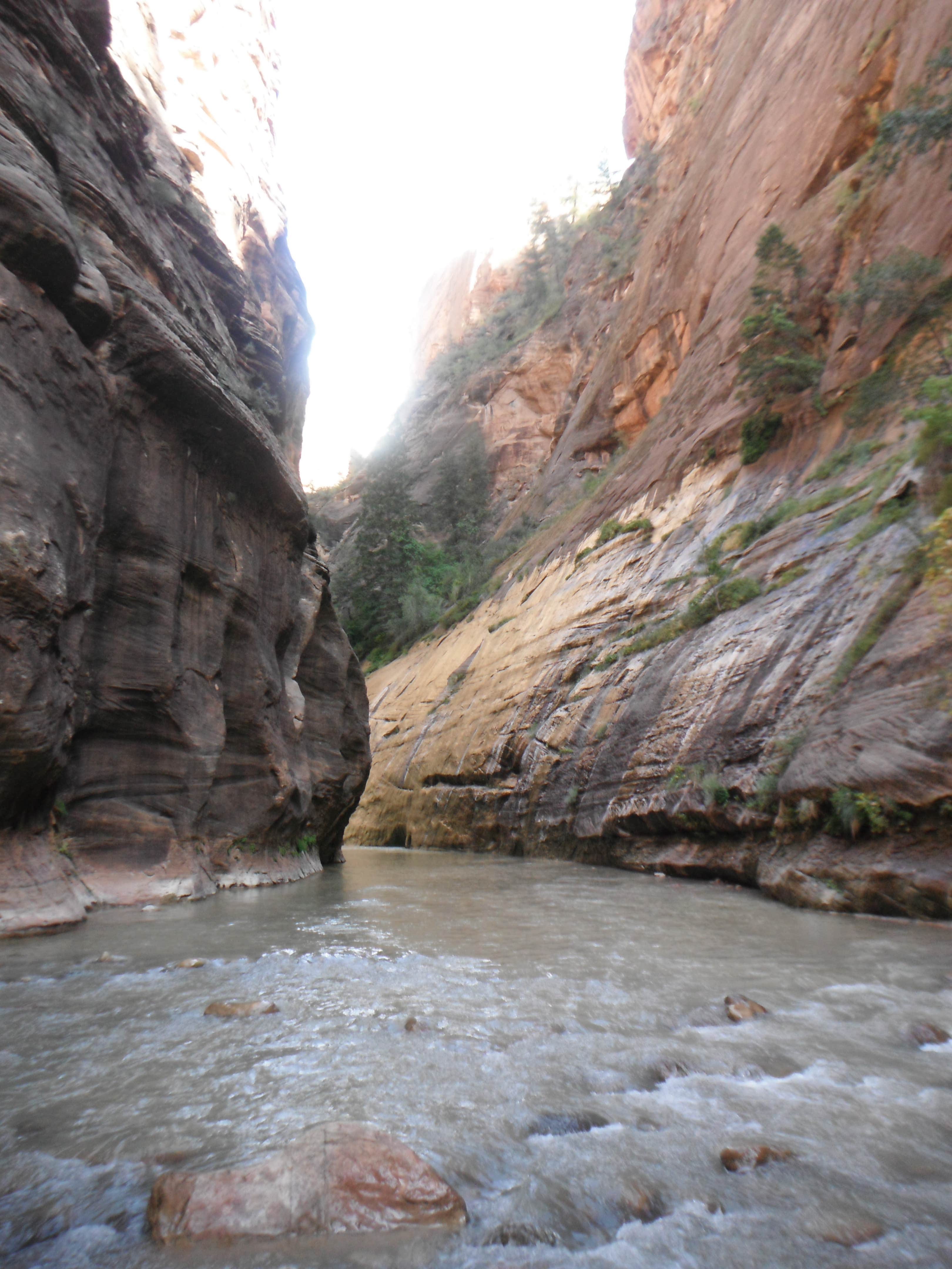 Zion RV and Campground (Hi-Road) | The Dyrt