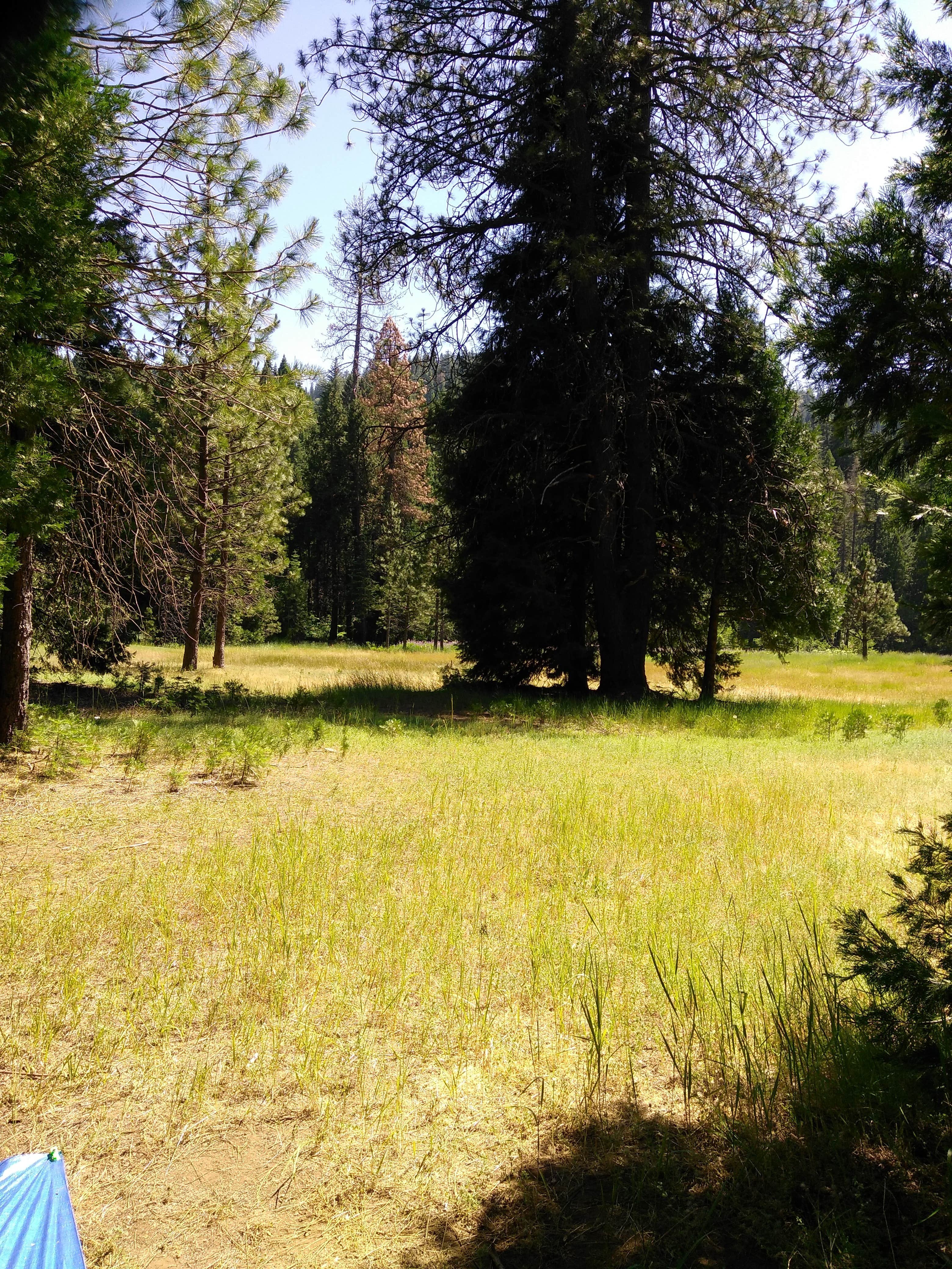 Pipi Campground | The Dyrt