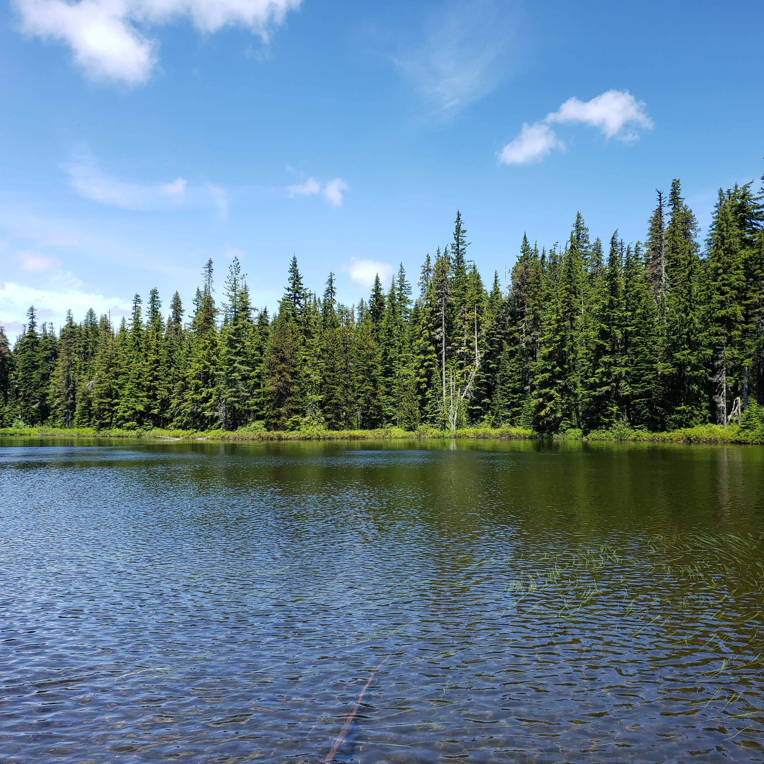 Forlorn Lakes Camping | The Dyrt