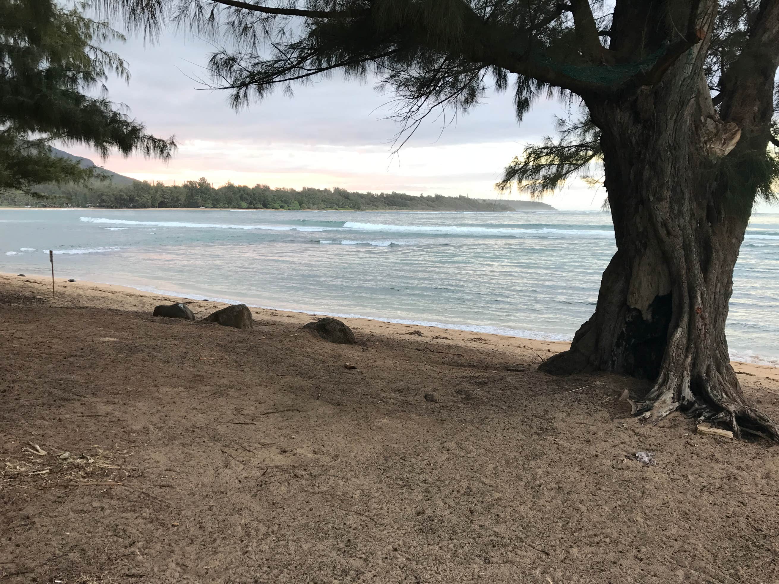 Anahola Beach Park | The Dyrt