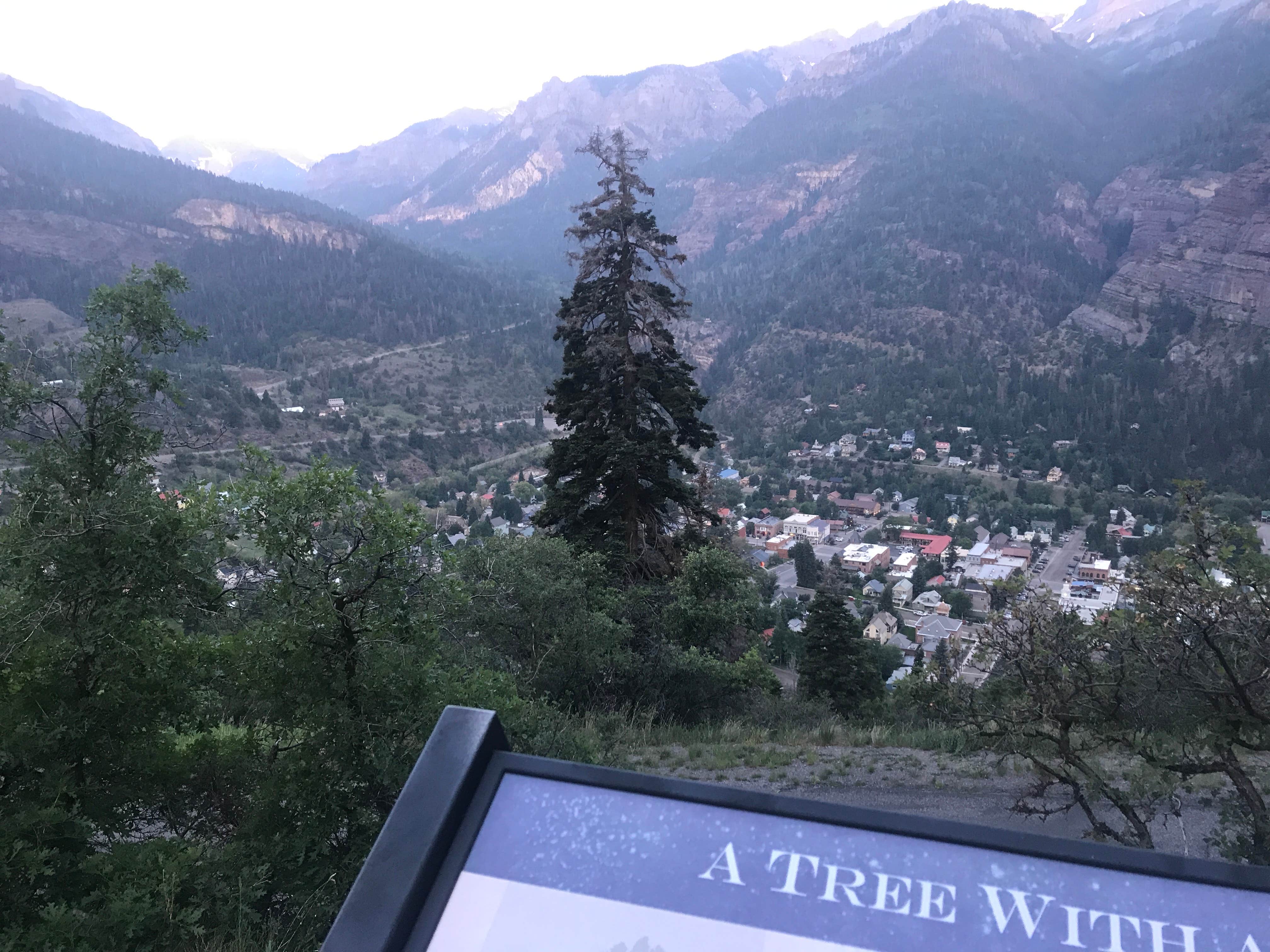 Uncompahgre National Forest Amphitheater Campground | Ouray, CO
