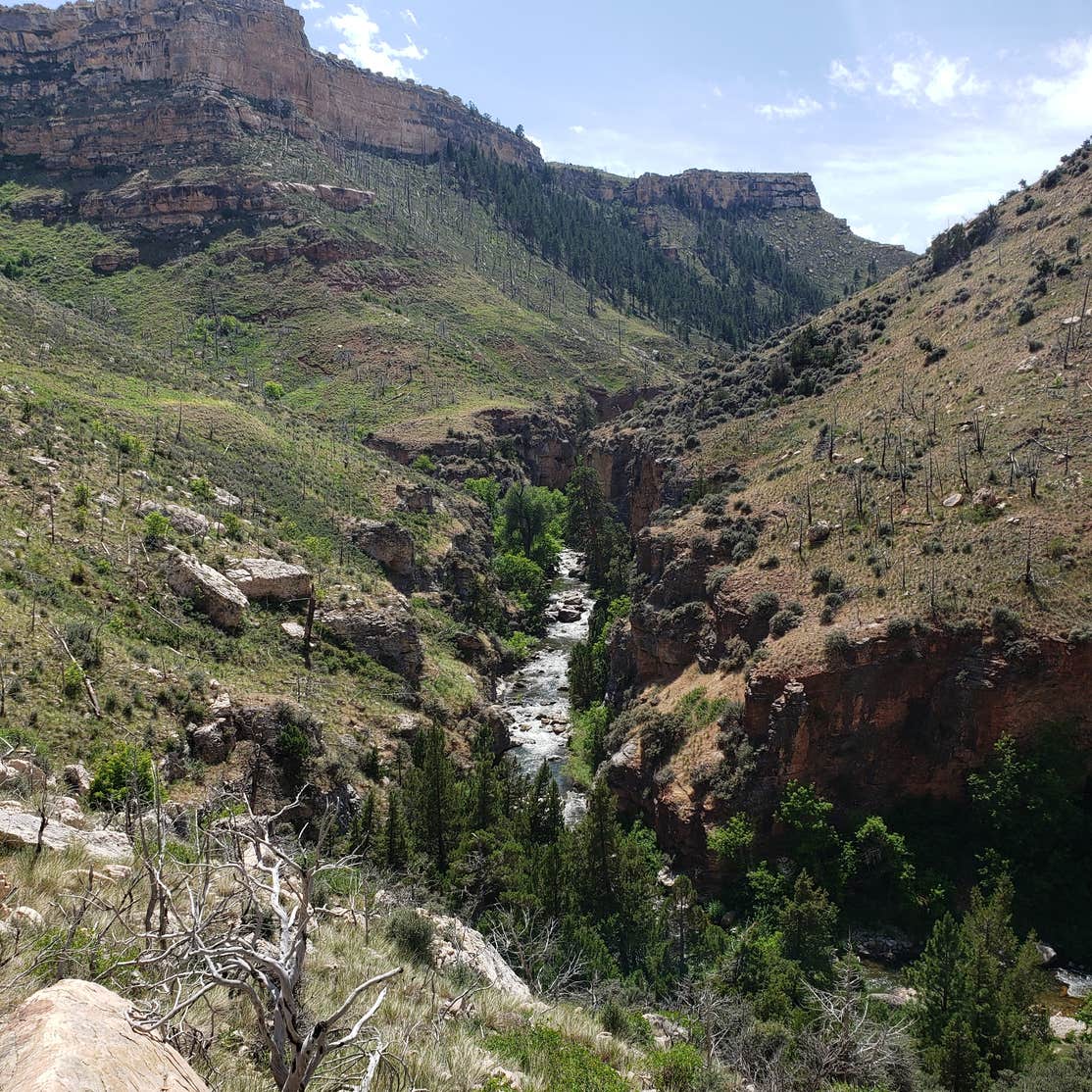 Outlaw Cave Campground | Ten Sleep, WY