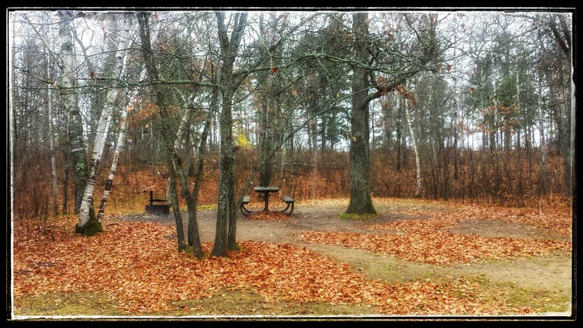 Mantrap Lake Campground and Day-Use Area Camping | The Dyrt