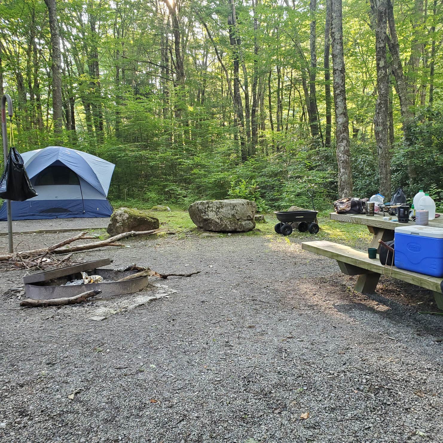 Tea Creek Campground Camping | The Dyrt